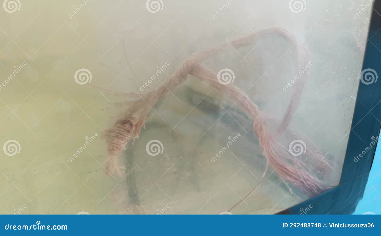 Copper Cable in Electrolysis Releasing Bubbles Stock Footage - Video of ...