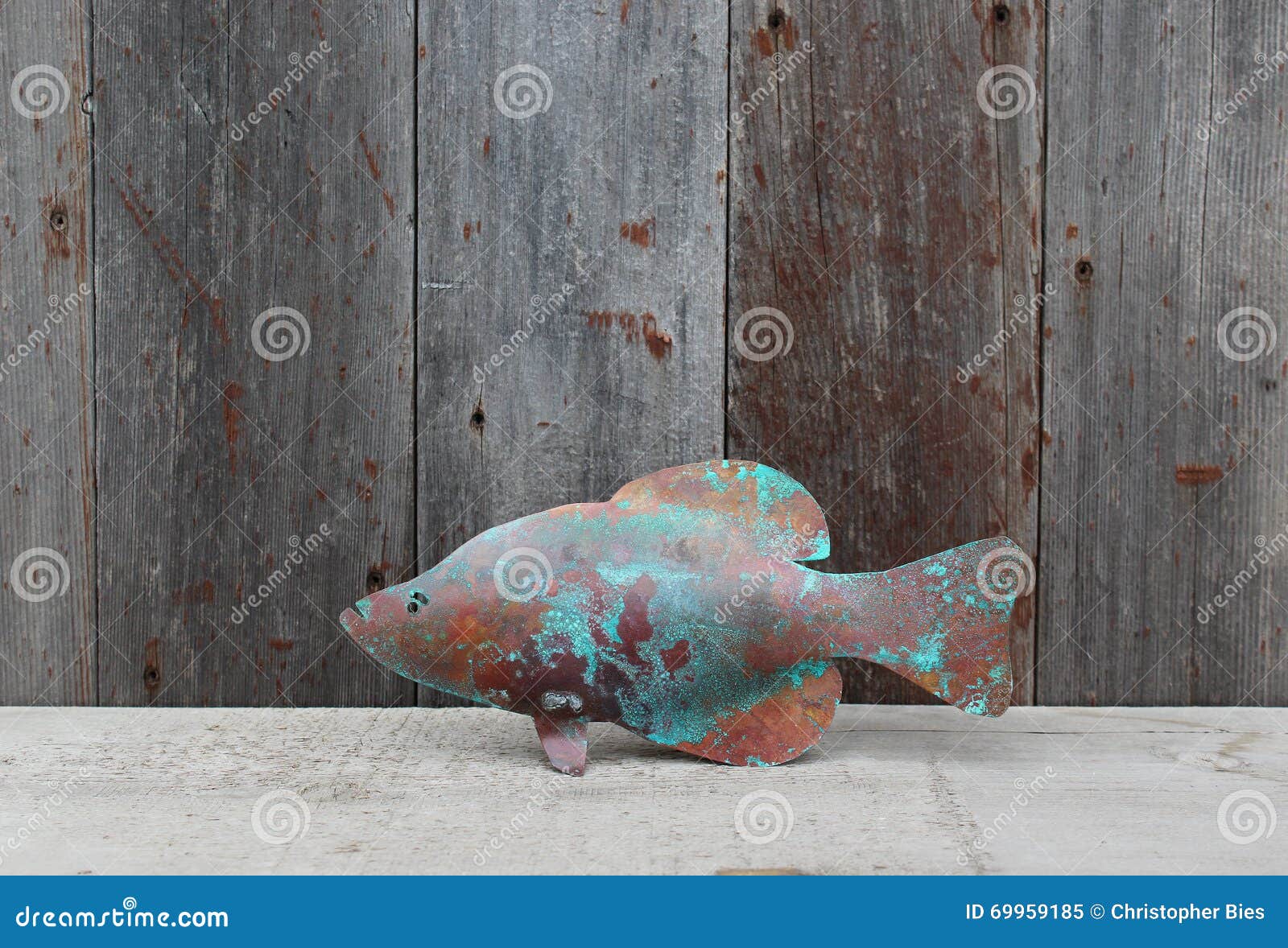 Copper Crappie stock image. Image of fish, photographs - 69959185