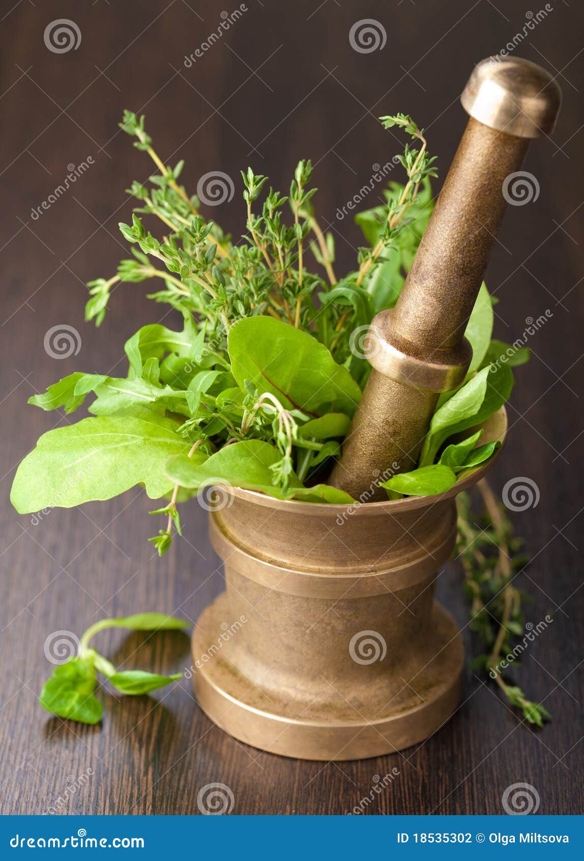 Copper mortar with herbs stock photo. Image of fresh - 18535302
