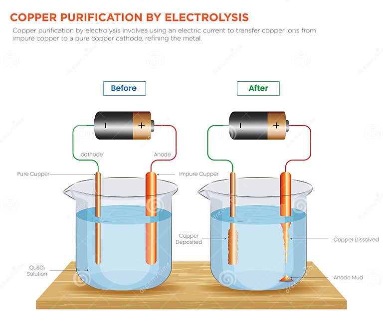 Copper Purification by Electrolysis Refining Copper through Electric ...