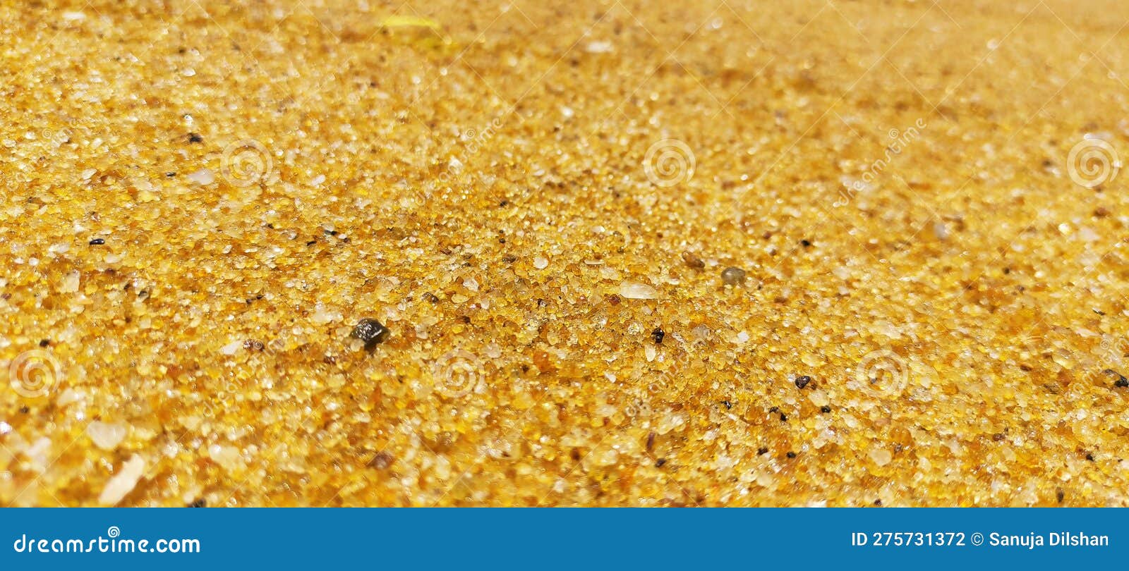 Copper Sand and Sea Sand in Sri Lanka Stock Photo - Image of sand, seas ...