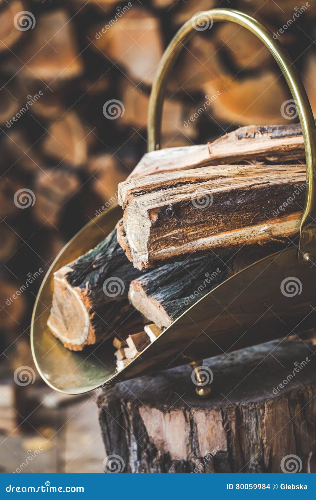 Copper Stack on Tree Stump in Front of Stacked Firewood Stock Photo ...