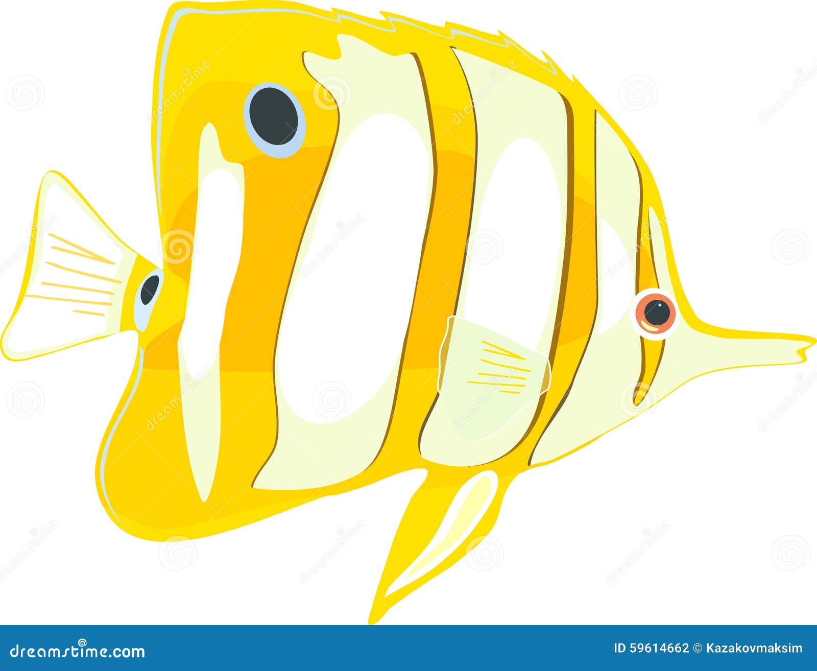 Copperband butterflyfish stock vector. Illustration of fish - 59614662