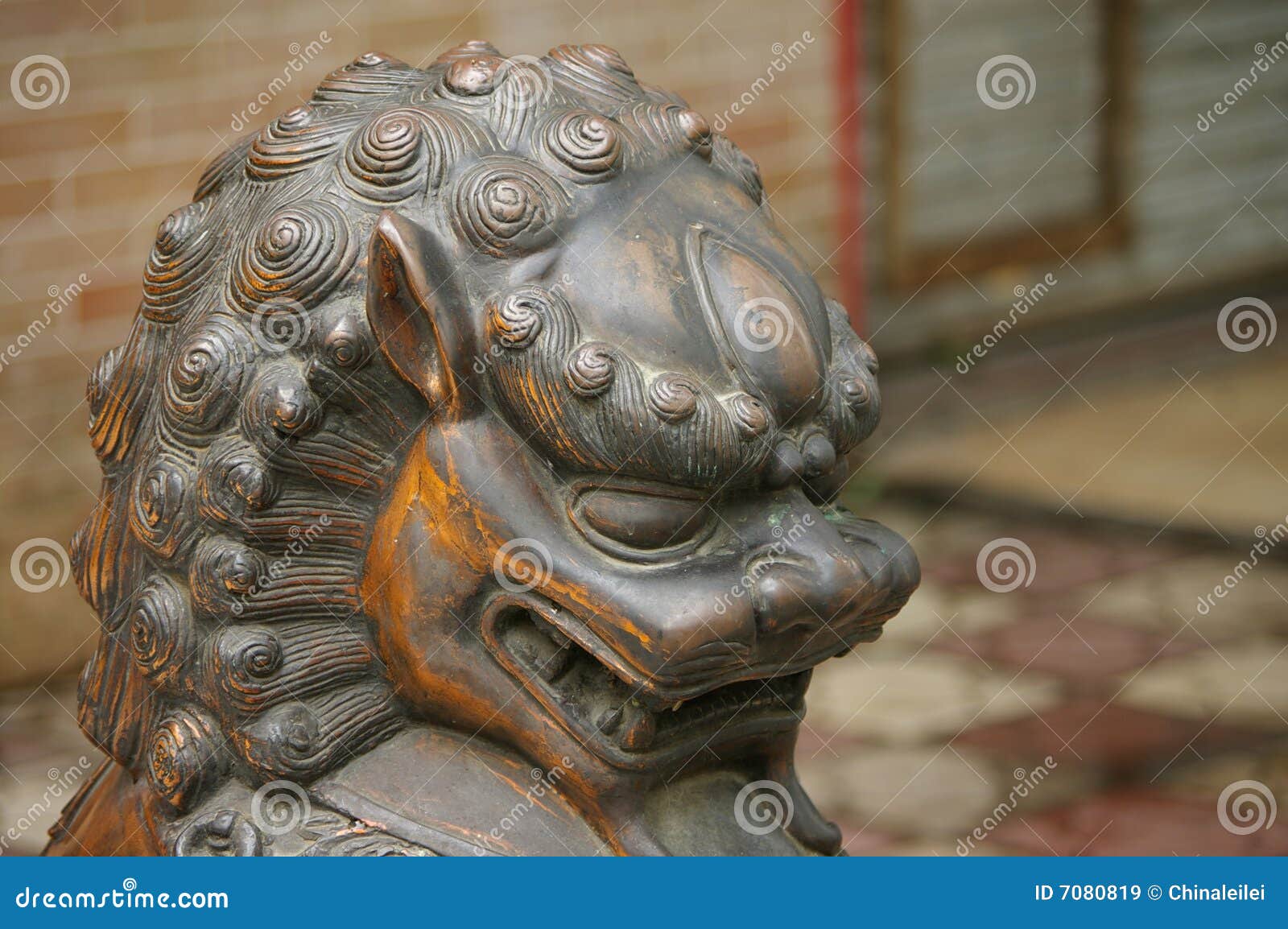 Coppery lion stock image. Image of copper, head, coppery - 7080819