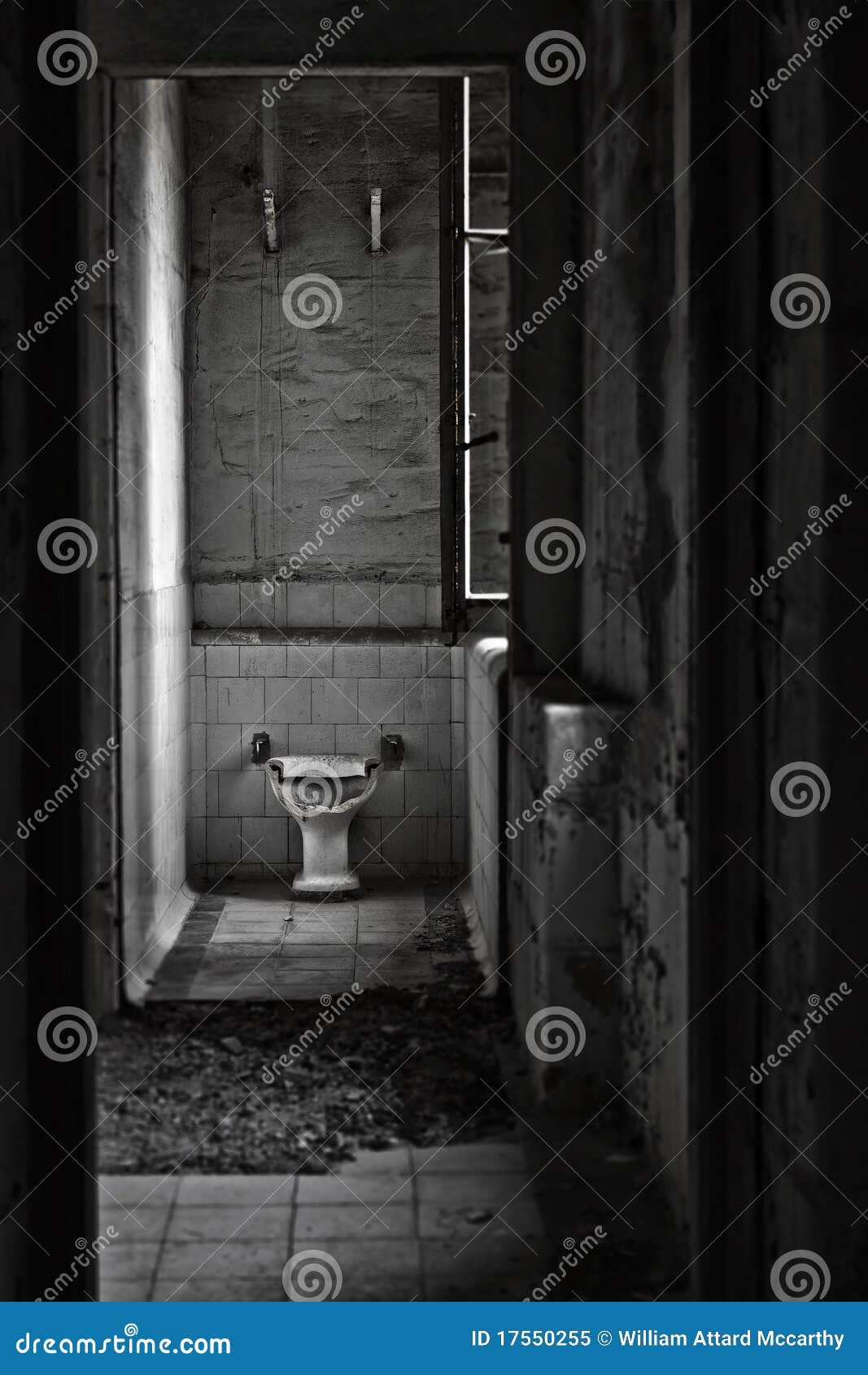 Coprophobia immagine stock. Immagine di corridoio, rubinetto - 17550255