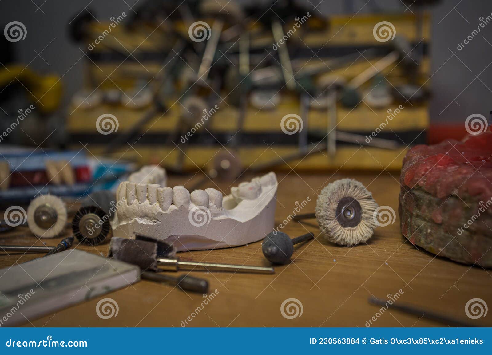 A Copy of a Human Tooth Cast in Plaster Stock Photo - Image of dental ...