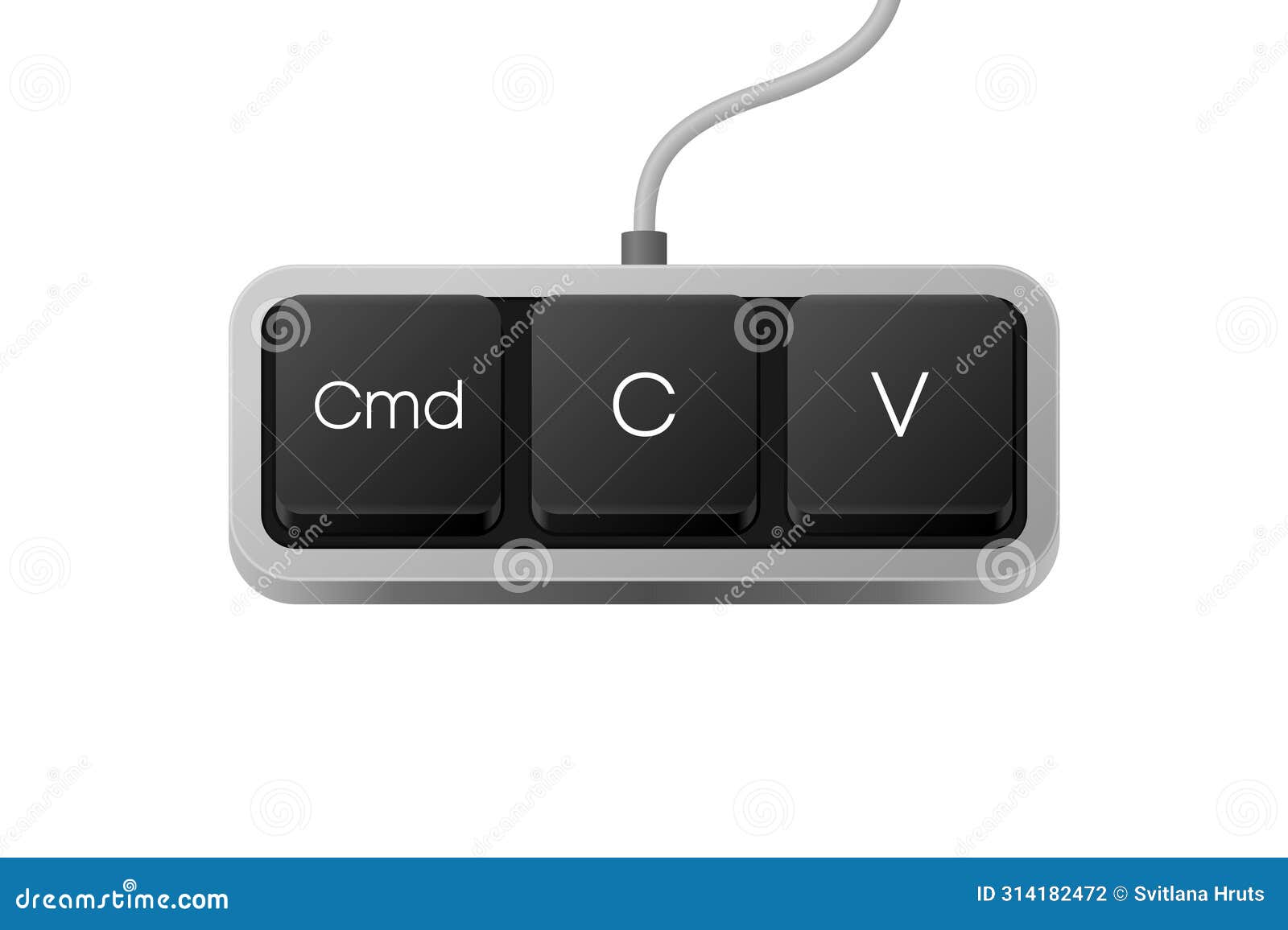 Copy Paste Button Combination Computer Keyboard Word On Pc Computer Keyboard Vector