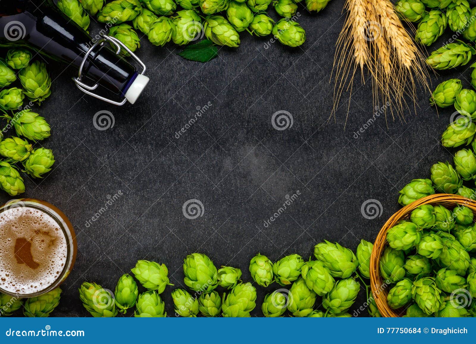Copy Space Frame with Hops and Beer Stock Photo - Image of text, wheat ...