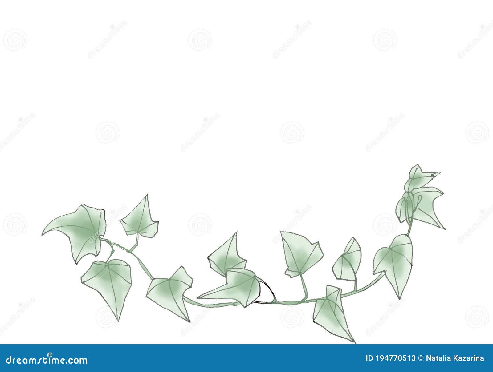 Copy Space and Sprig of Ivy, Graphic Linear Pattern, Botanical Sketch ...