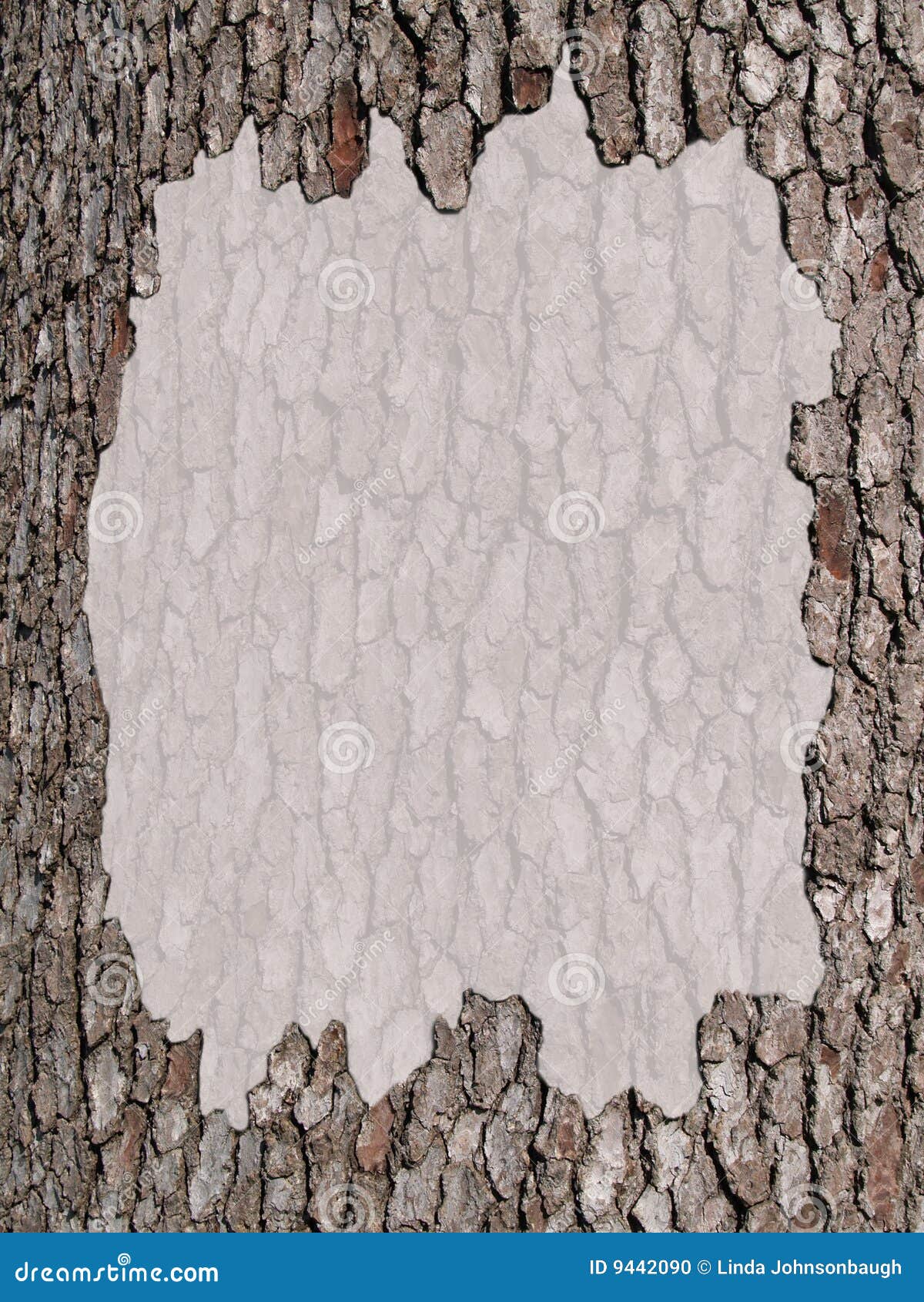 Copy Space With A Tree Bark Border Stock Photo - Image: 9442090