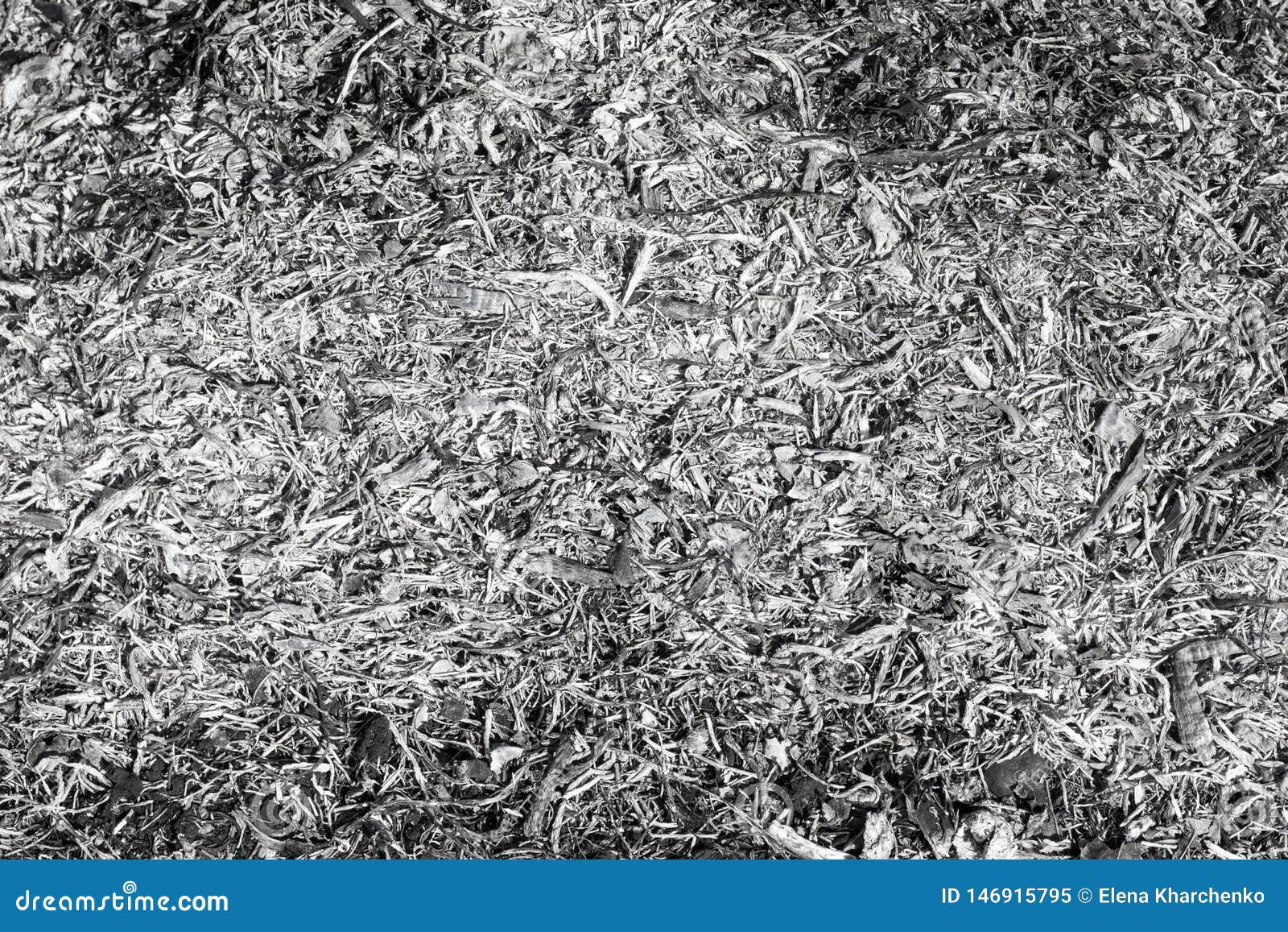 Copyspace Background Texture from Ash Gray Black Ash from Branches ...