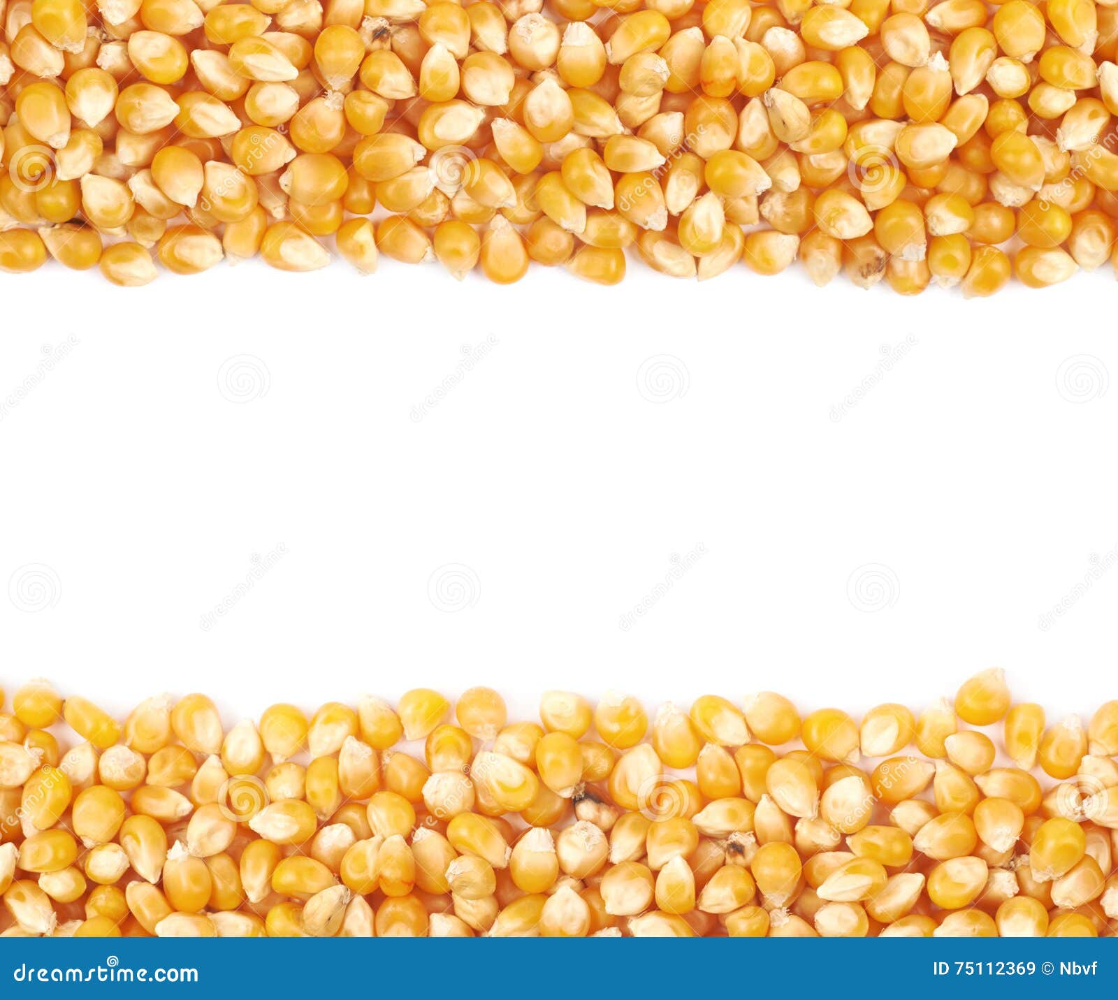 Copyspace Corn Kernel Background Stock Image - Image of health ...
