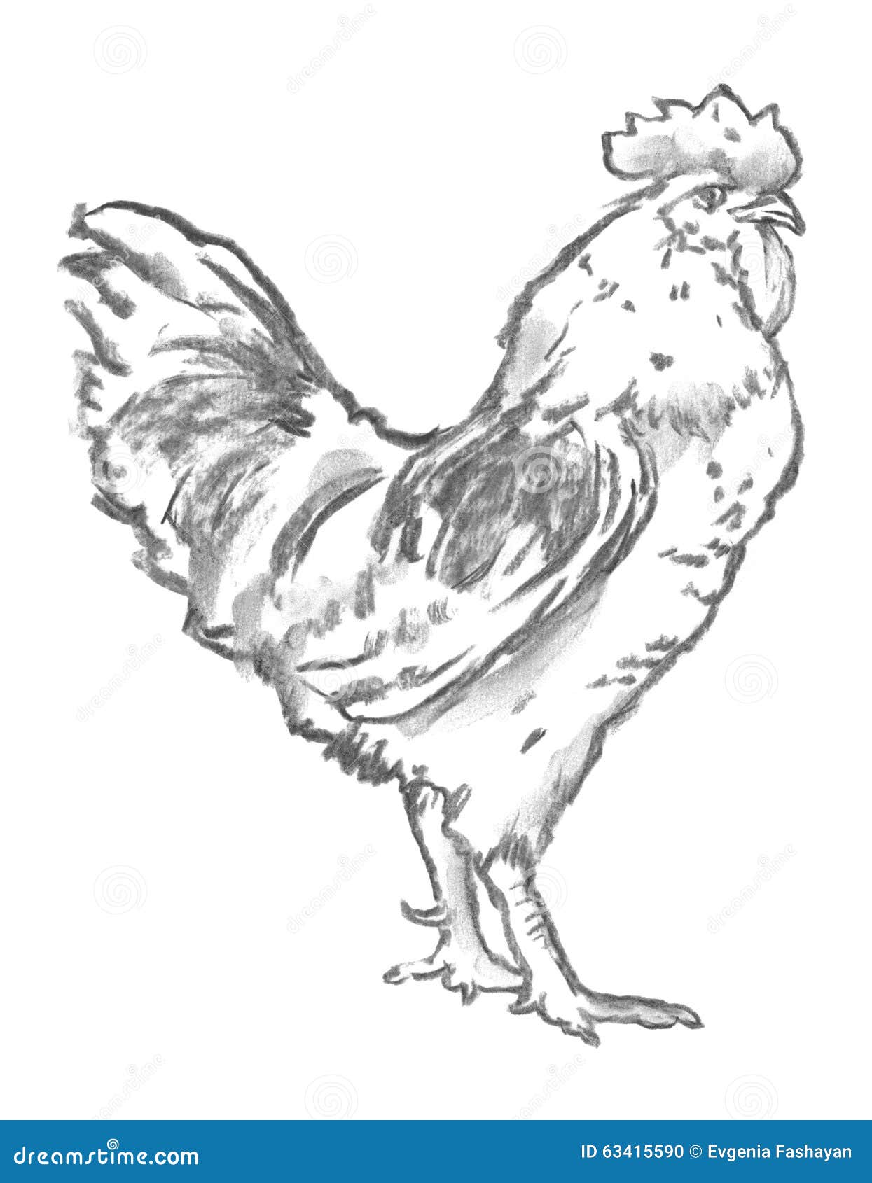 Coq illustration stock. Illustration du noir, illustration - 63415590