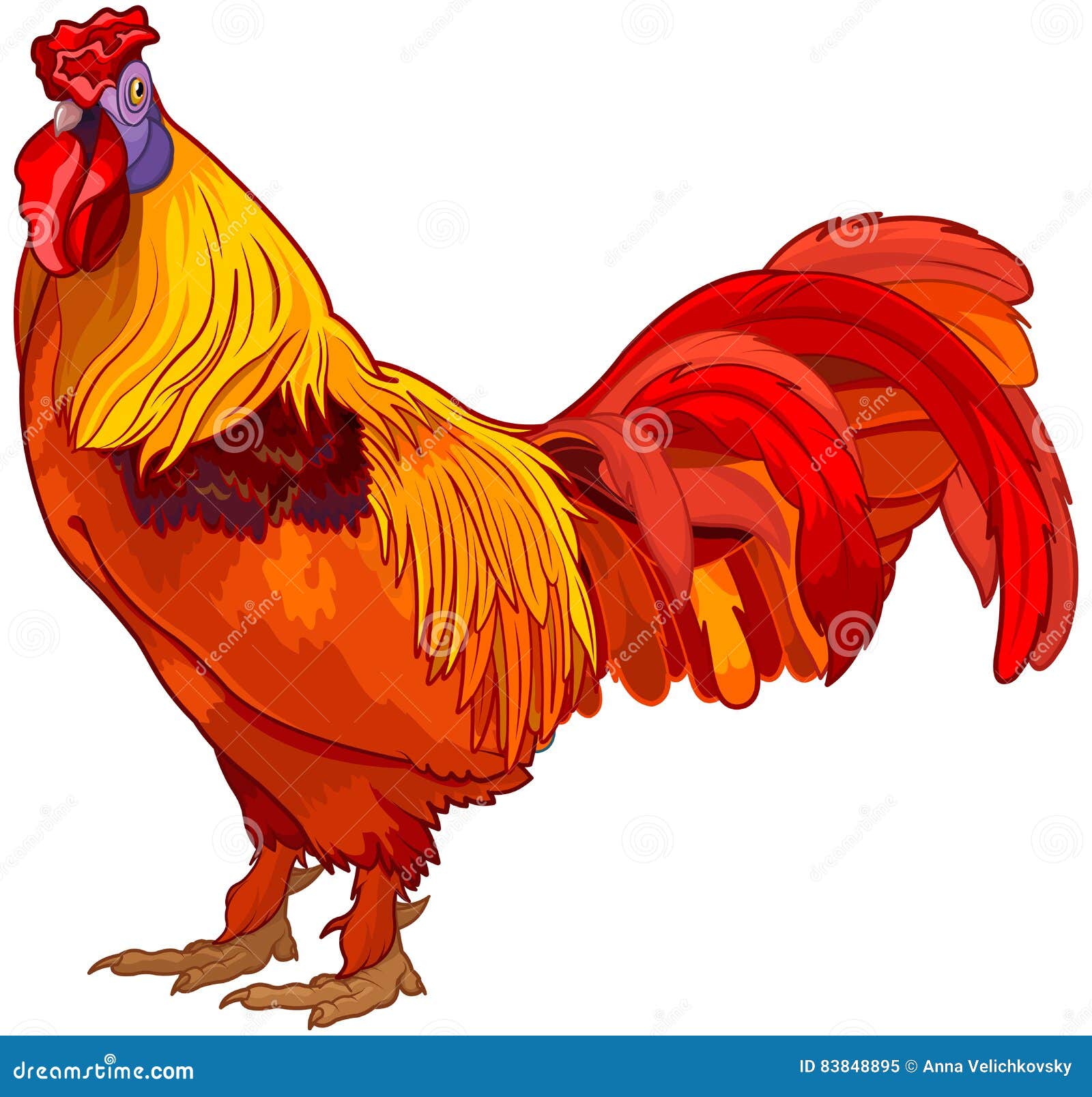 Coq rouge illustration de vecteur. Illustration du agrafe - 83848895