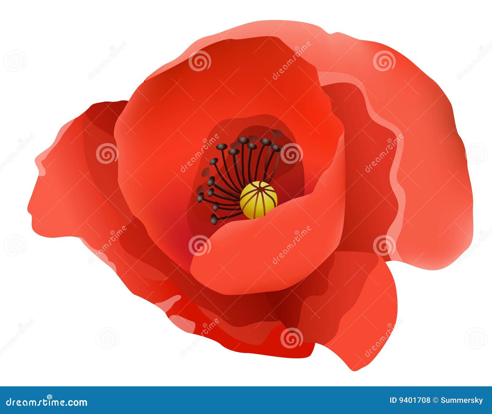 Coquelicot illustration de vecteur. Illustration du illustration - 9401708