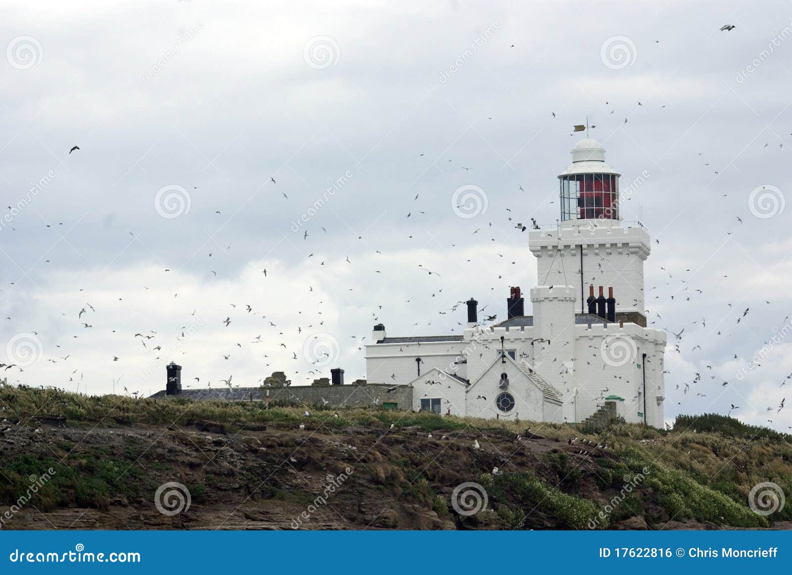 Coquet Island Lighthouse stock photo. Image of rock, britain - 17622816