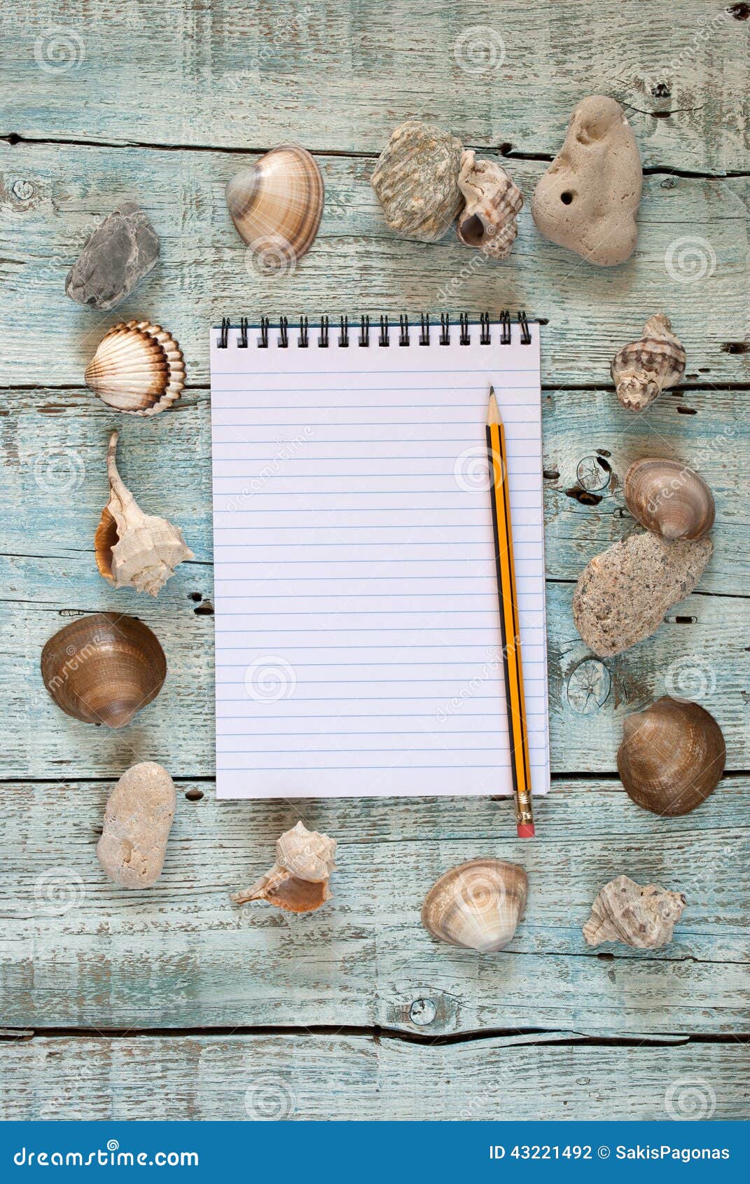 Coquilles et carnet de mer photo stock. Image du orange - 43221492