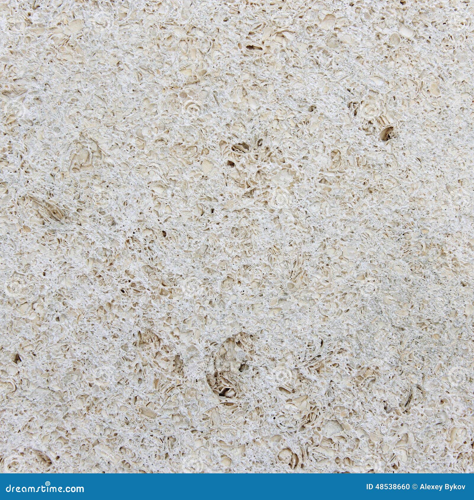 Coquina Texture Royalty-Free Stock Image | CartoonDealer.com #32836072
