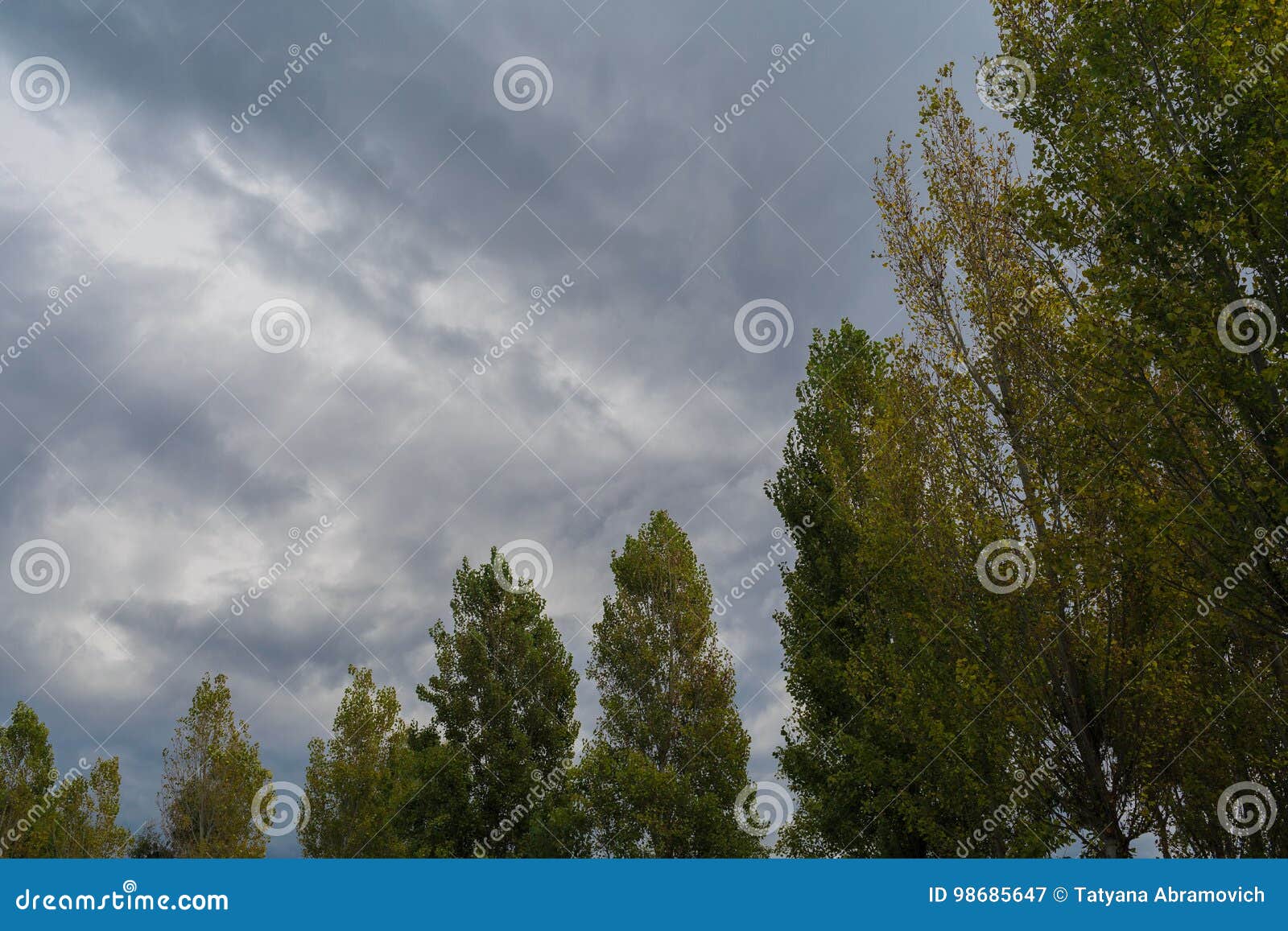 Cor Cinzenta Das Nuvens Chuvosas Sobre O Fundo Da Floresta Imagem de ...