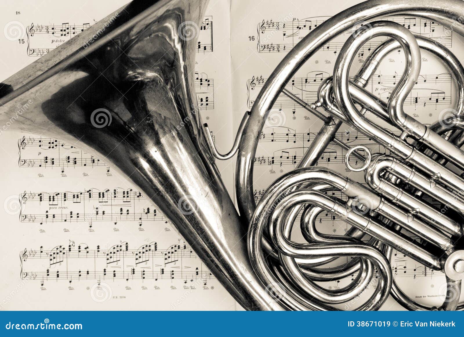 Cor d'harmonie image stock. Image du joueur, accompagnement - 38671019