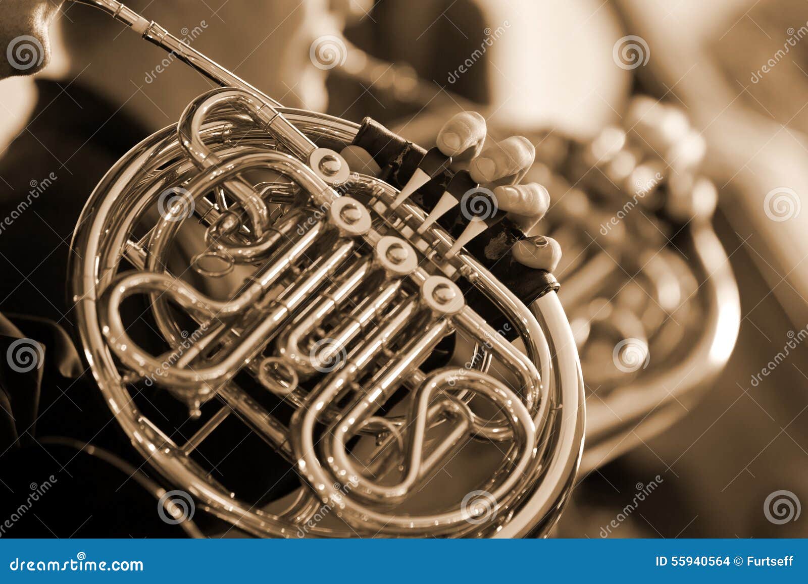 Cor D'harmonie Dans Les Mains Du Musicien Photo stock - Image du ...