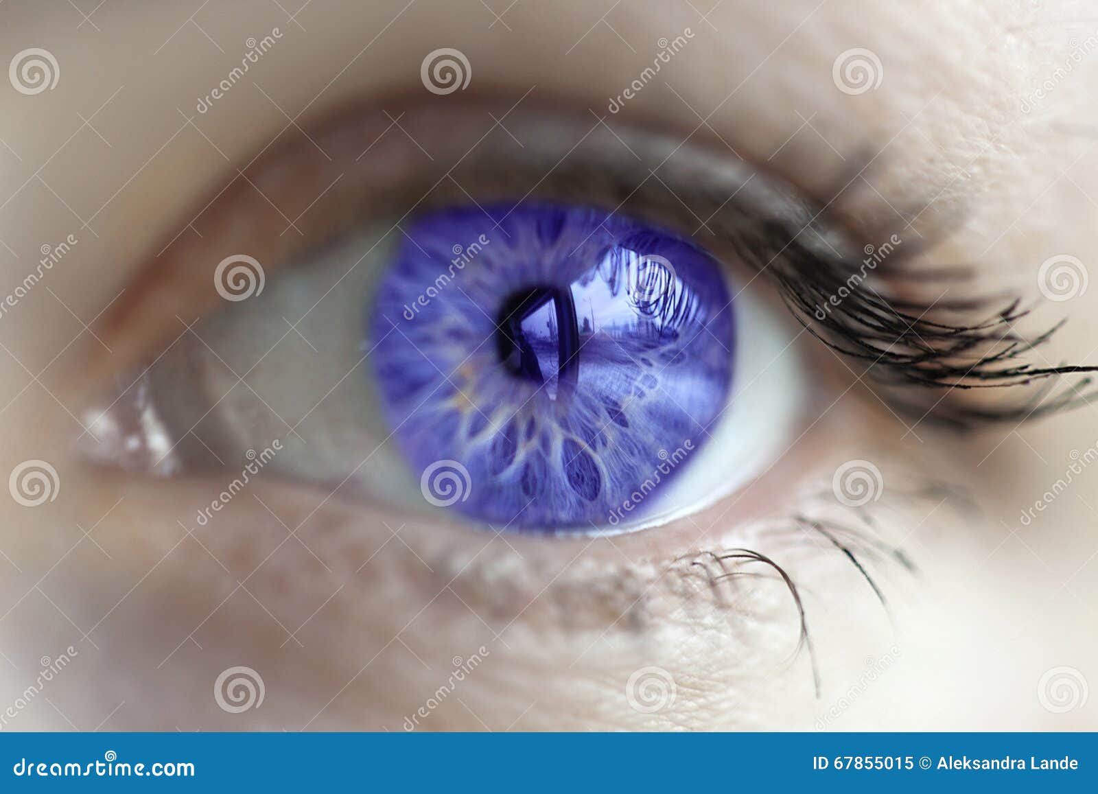 Cor violeta do olho imagem de stock. Imagem de chicote - 67855015