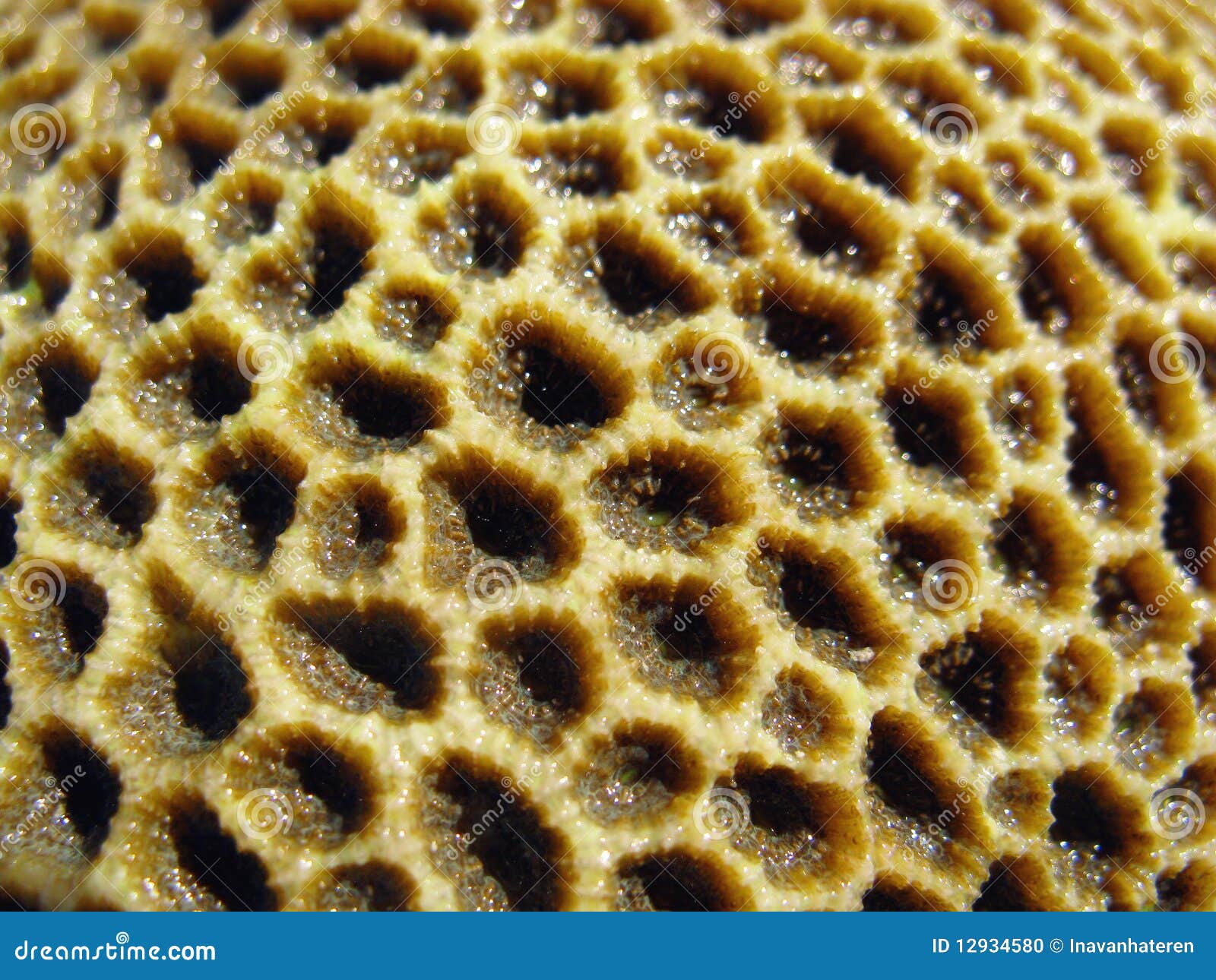 Filipino Textures Stock Photos - Free & Royalty-Free Stock Photos from ...