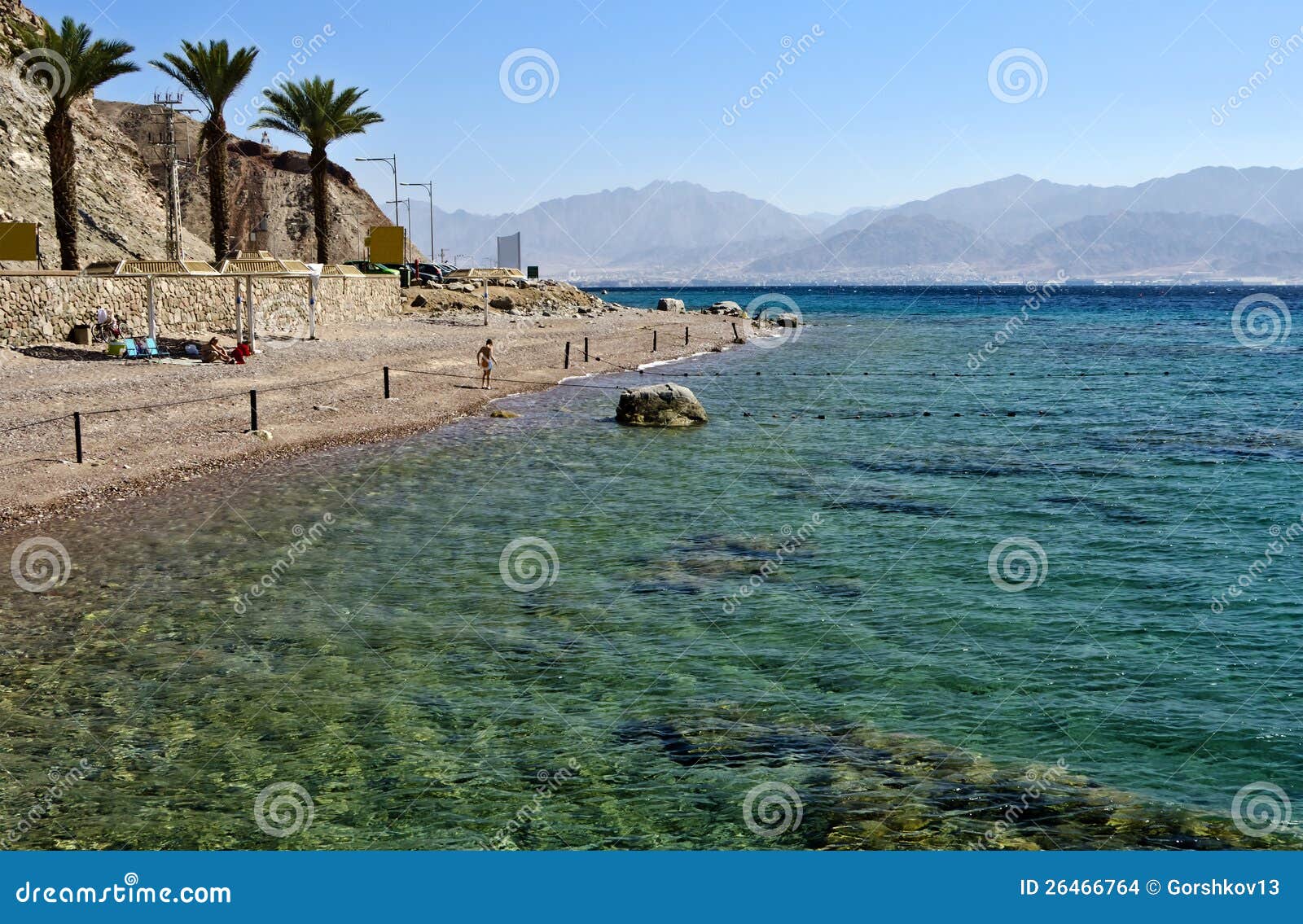 Coral Beach Near of Eilat, Israel Stock Photo - Image of water, wild ...