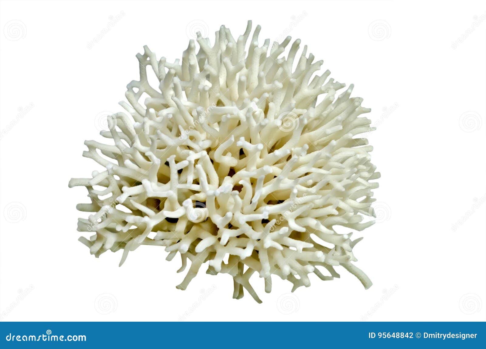 Coral Blanco Aislado Sobre Blanco Foto de archivo - Imagen de blanco ...