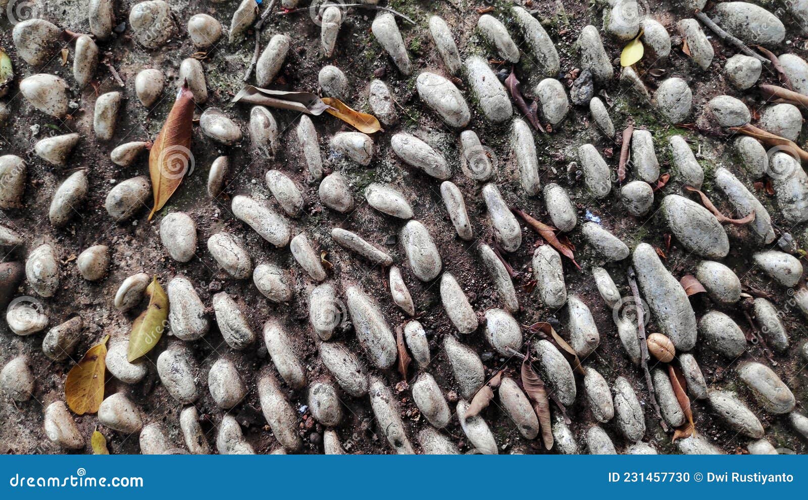 Coral bricks stock photo. Image of neatly, flower, food - 231457730