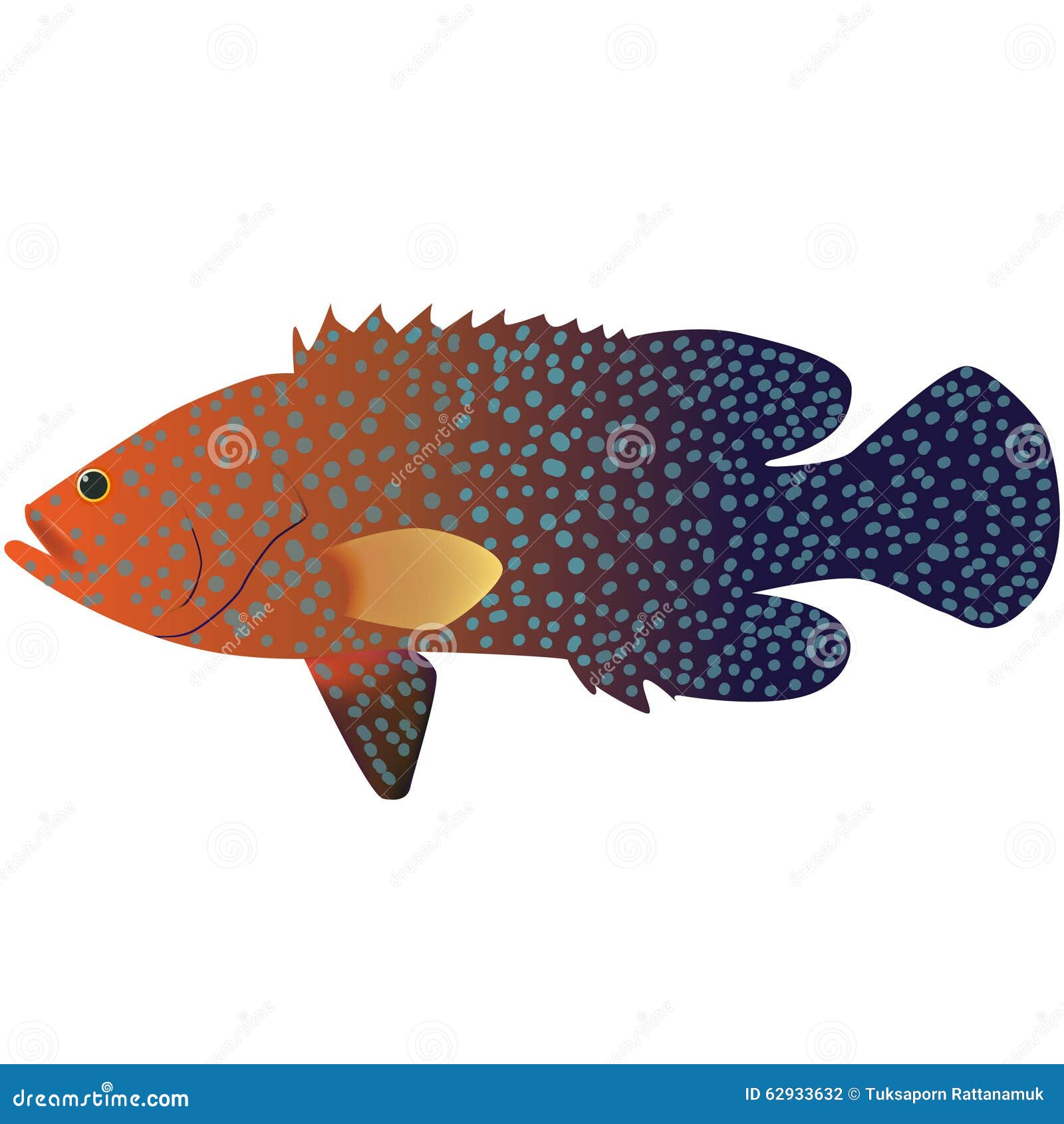 Coral Cod stock vector. Illustration of icons, underwater - 62933632