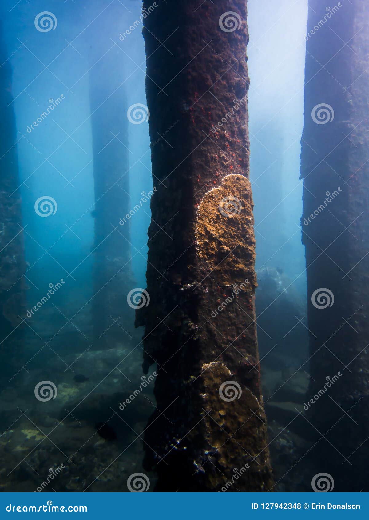 Coral Crusted Pillars Underwater in Blue Ocean Stock Photo - Image of ...