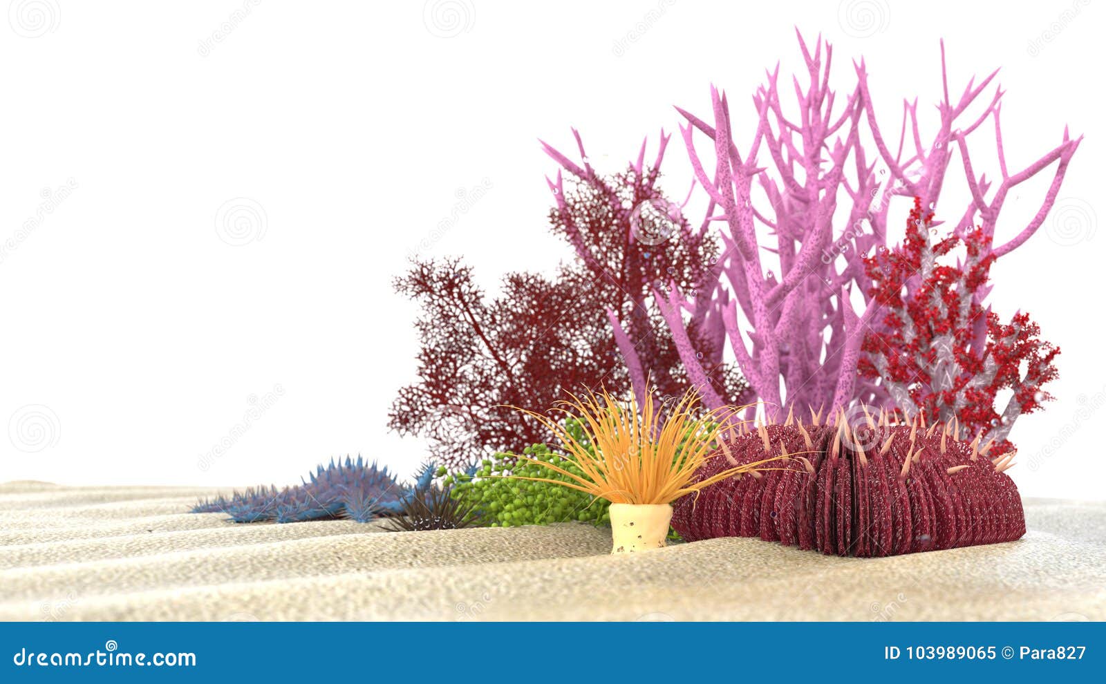 Coral 3D stock illustration. Illustration of environment - 103989065