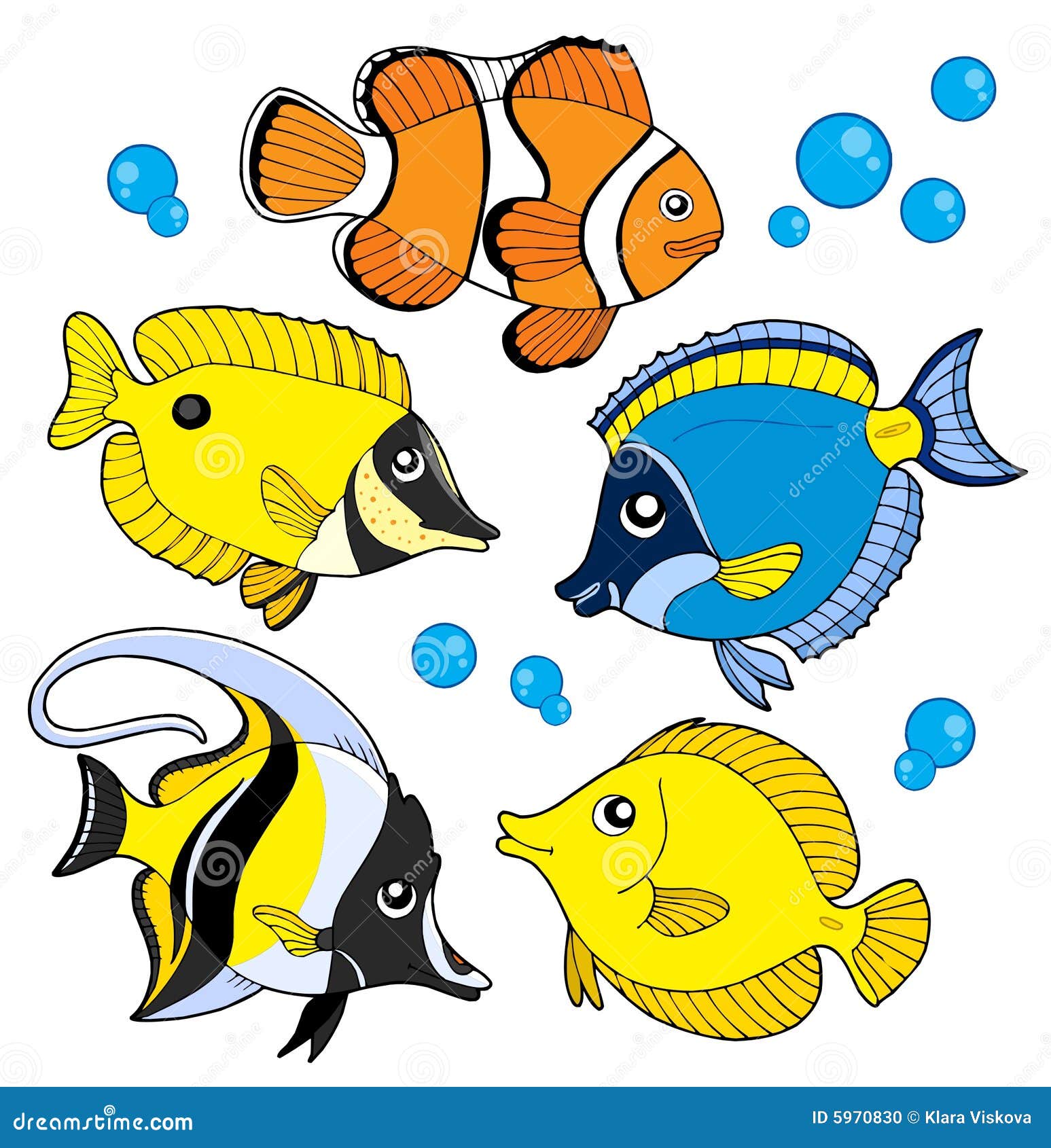 Coral fish collection stock vector. Illustration of face - 5970830