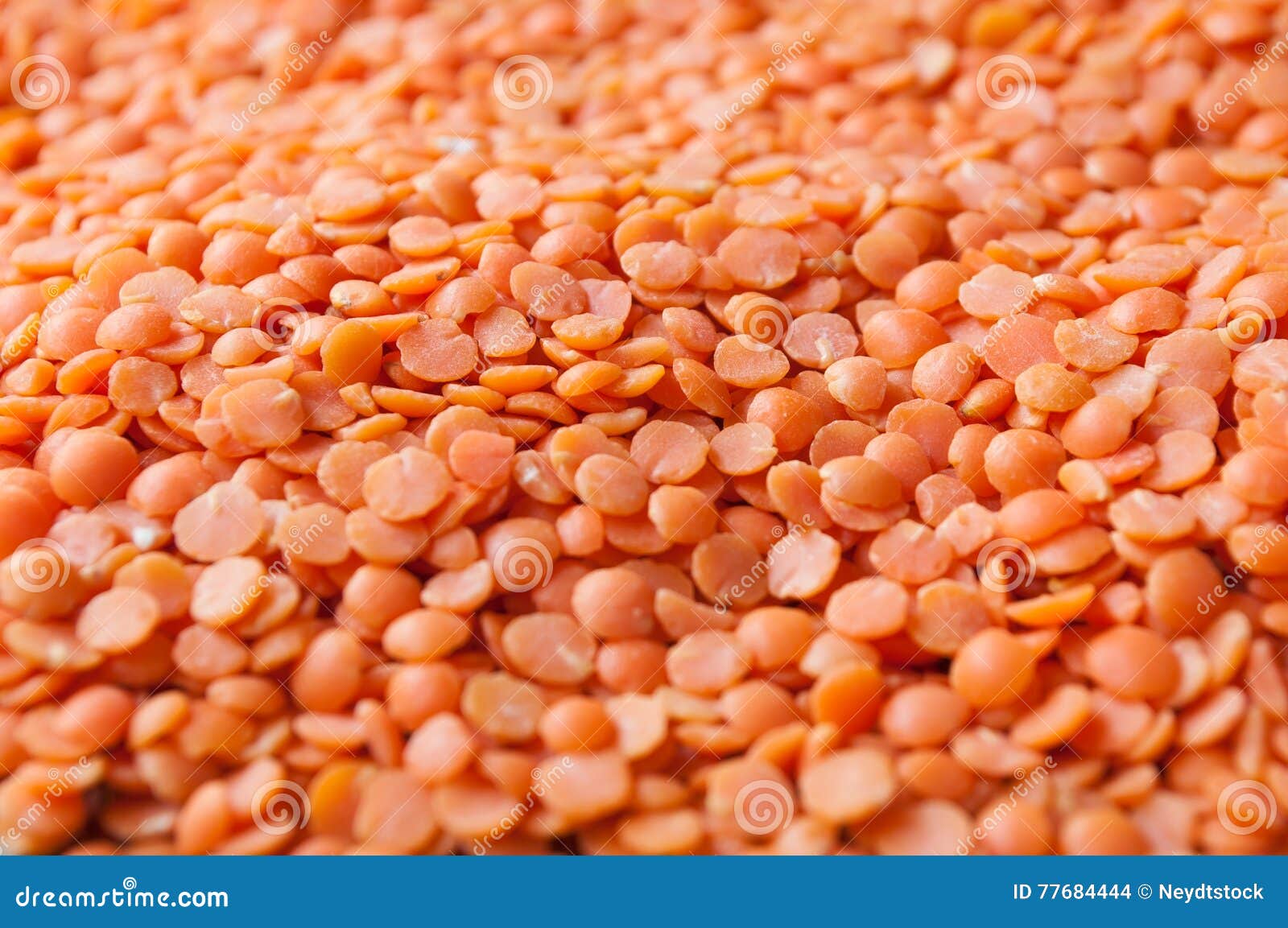 Coral lentils texture stock photo. Image of organic, cuisine - 77684444