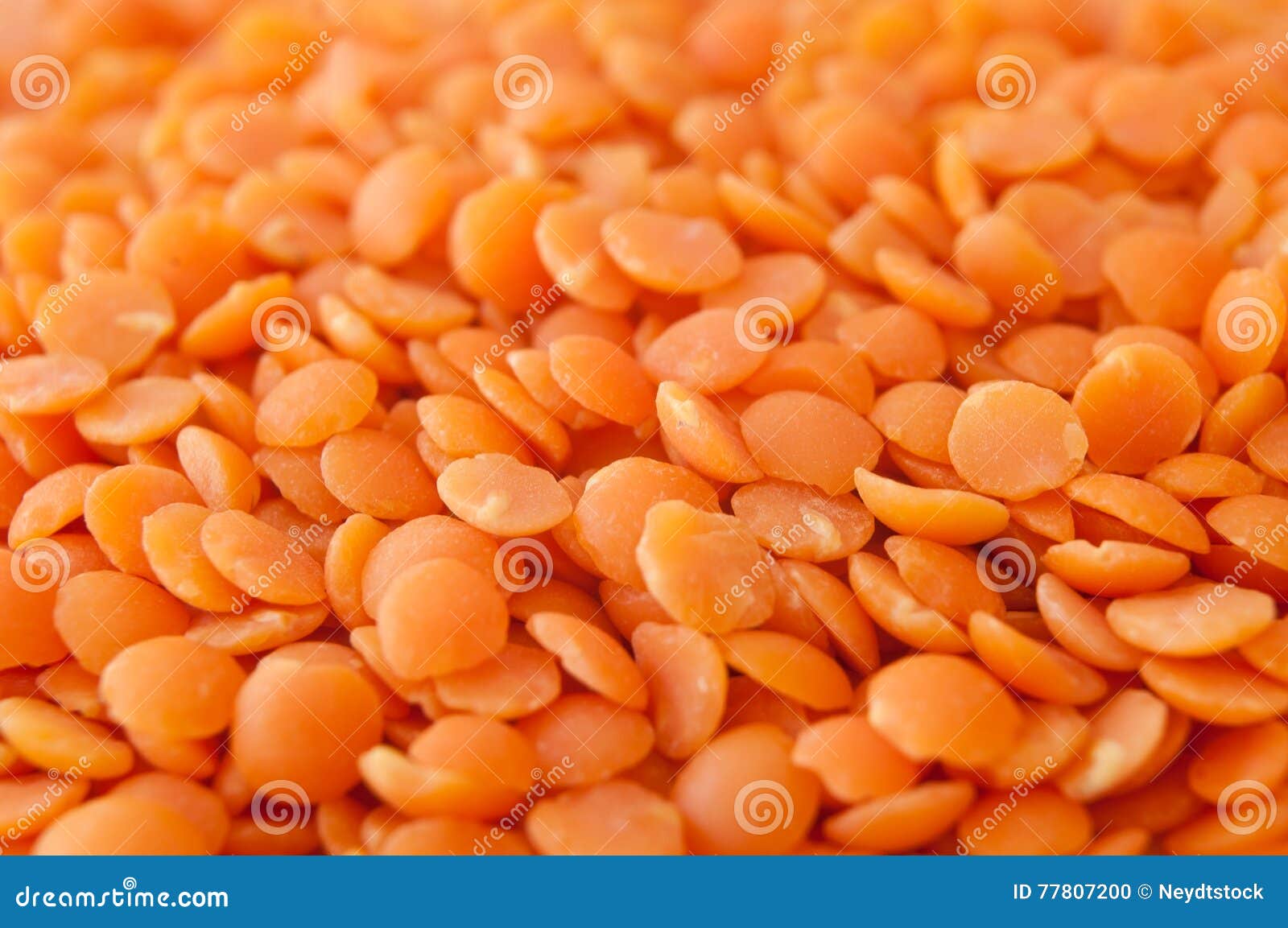 Coral lentils texture stock photo. Image of isolated - 77807200