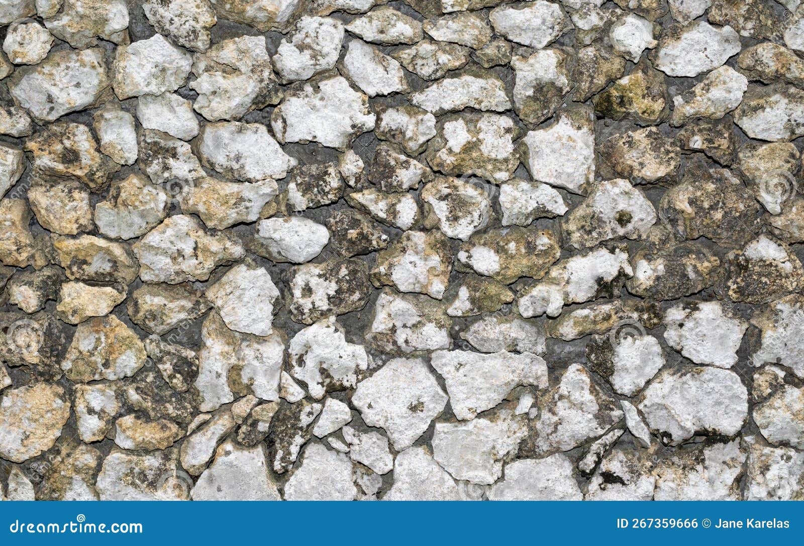Coral Like White Rocks with Mildew Stains in Scattered Placement ...