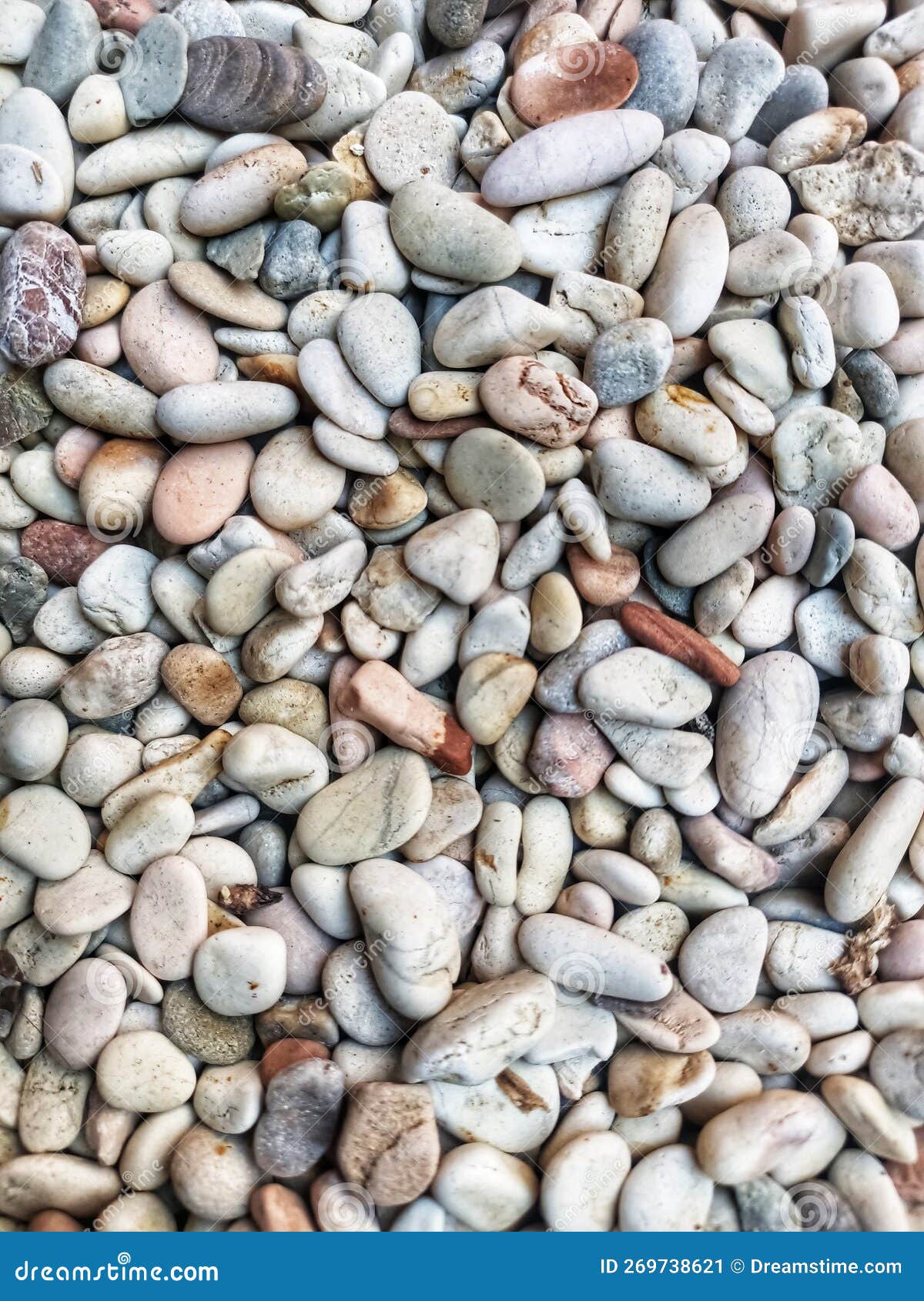 Coral Natural Stone with Various Sizes and Colors Stock Image - Image ...