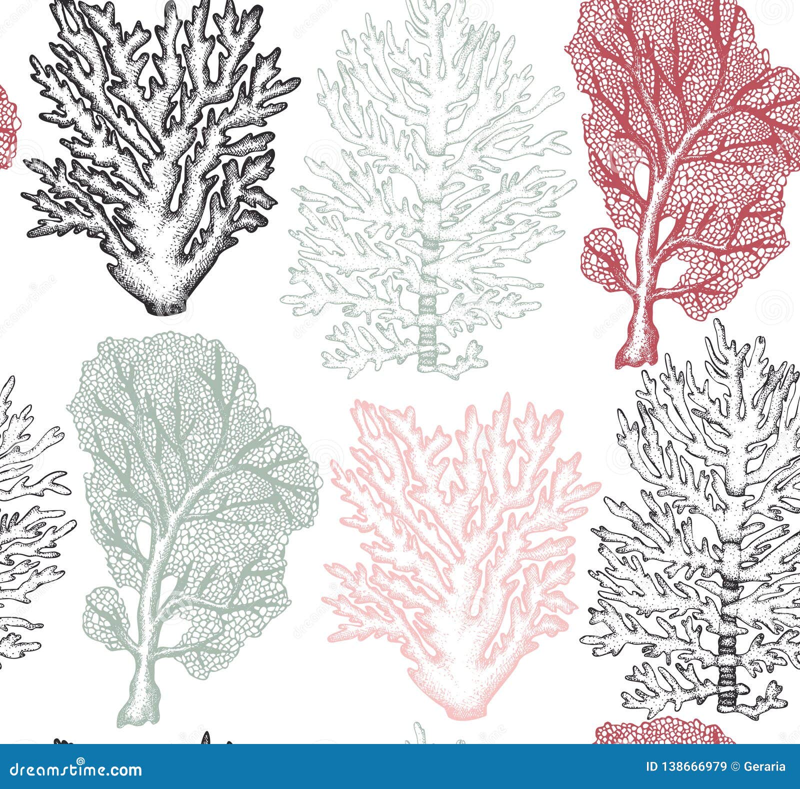 Seamless Pattern with Hand Drawn Sea Fans Corals - Gorgonia Sketch ...