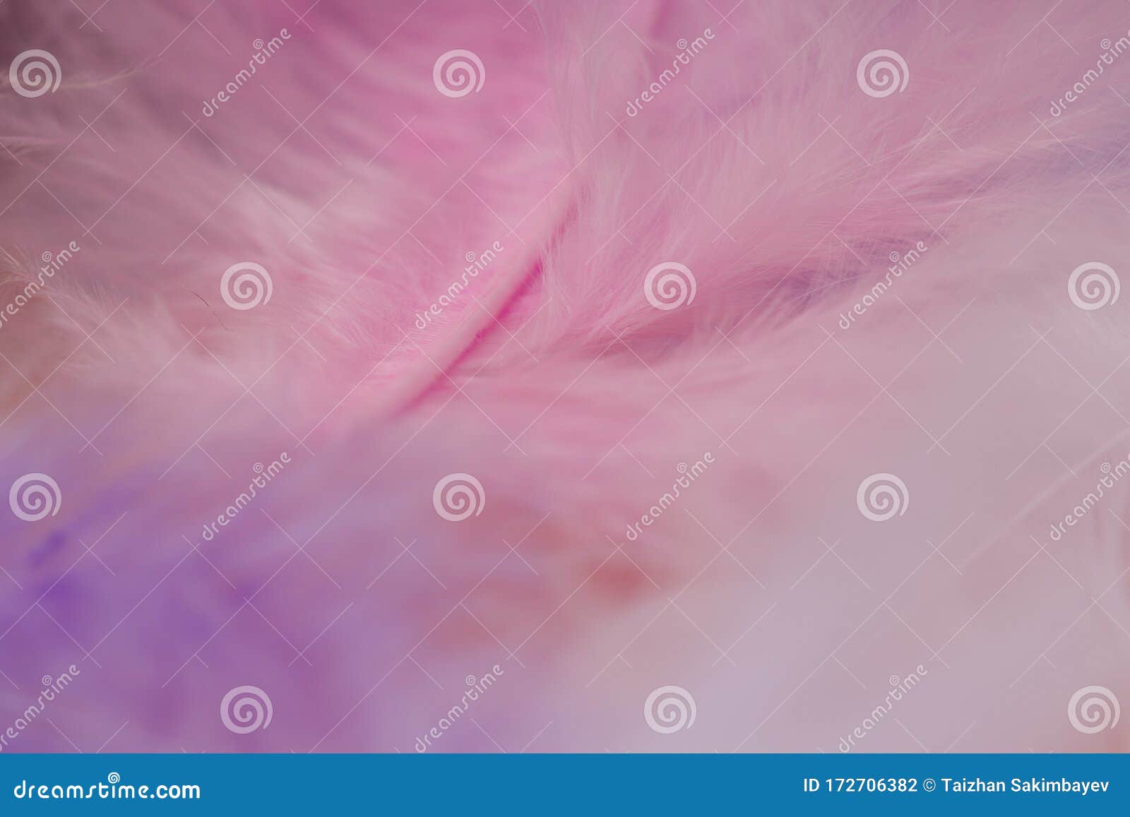Coral Pink Color Trends Feather Background. Soft Focus Stock Photo ...
