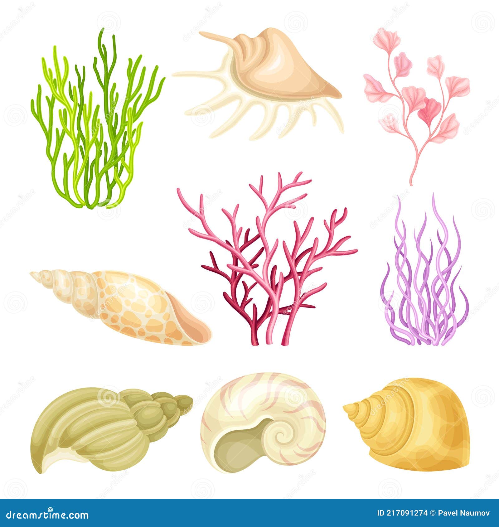 Coral Polyps Seamless Pattern. Kelp Laminaria Seaweed Algae Background ...