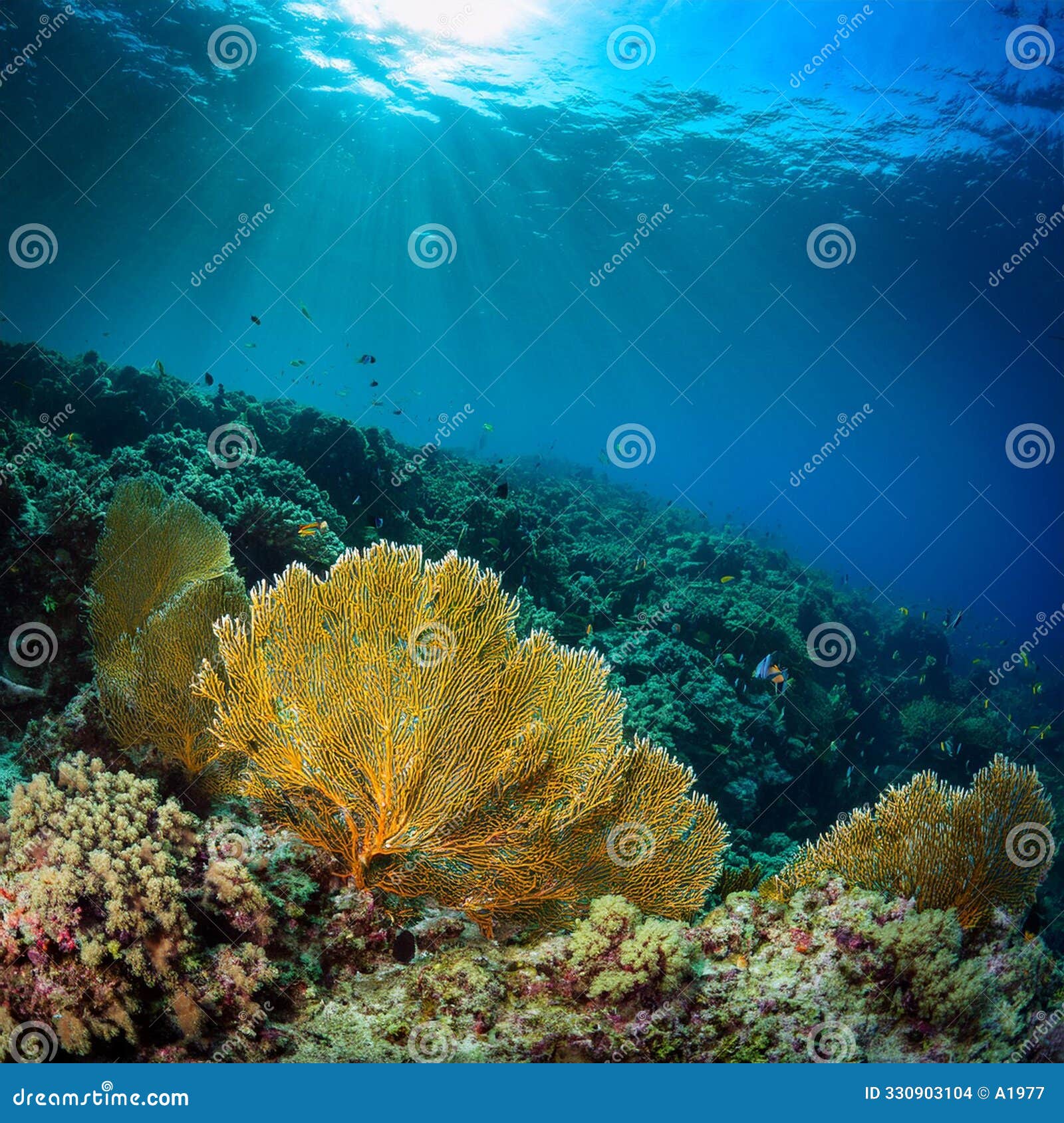 Coral reef, AI generated stock illustration. Illustration of coral ...