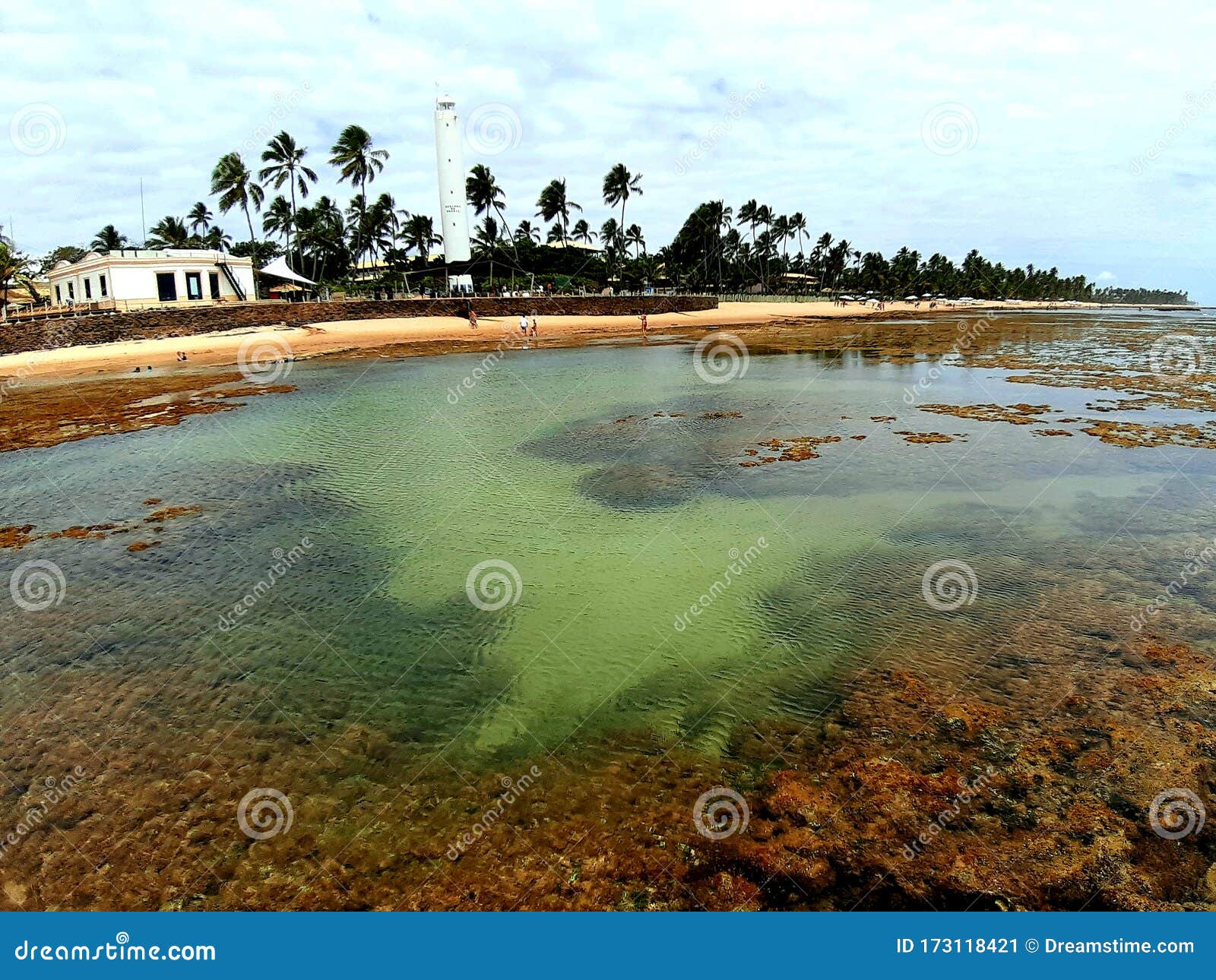 Coral Reef, Bahia Brazil stock image. Image of beautiful - 173118421