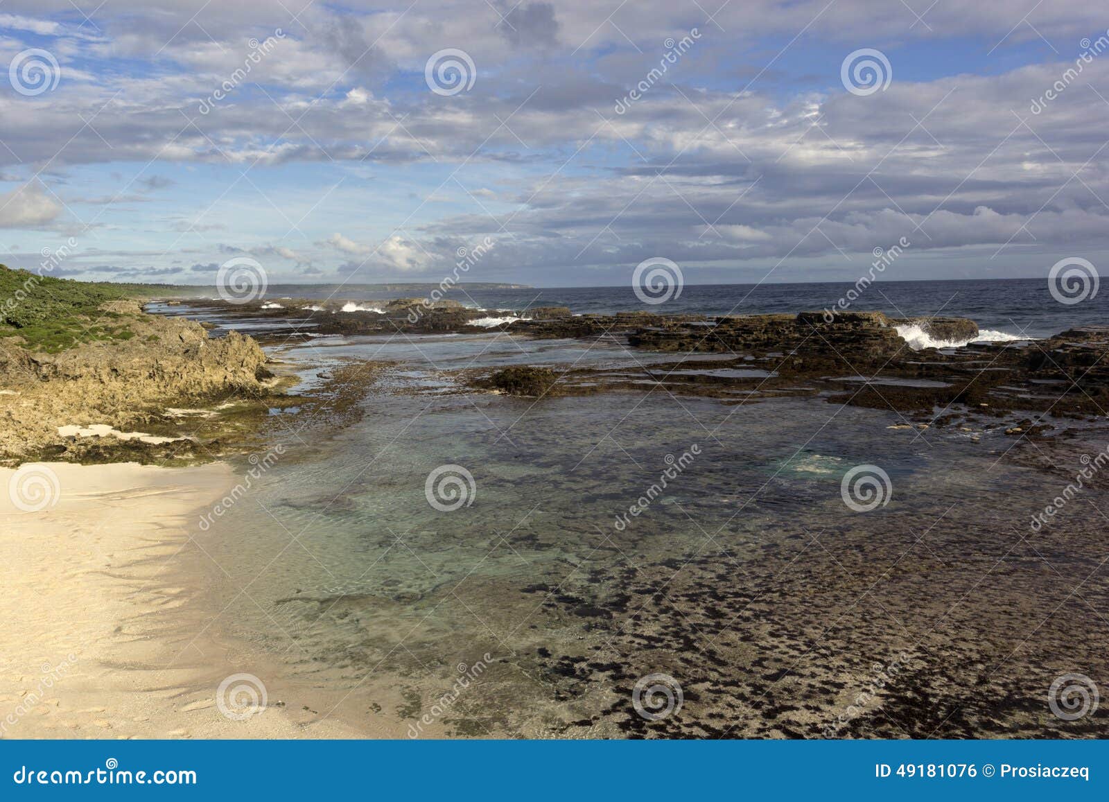 Coral reef beach in Tonga stock photo. Image of sand - 49181076