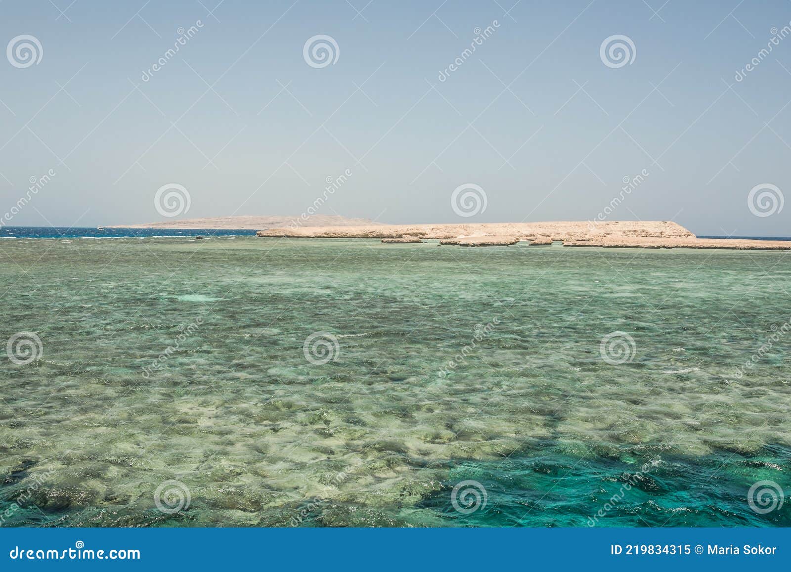 Coral Reef in Blue Water of Red Sea Stock Image - Image of tropics ...