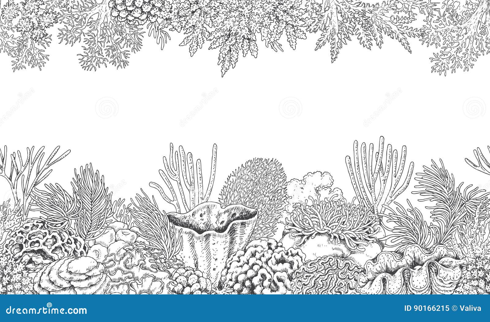Coral Reef Line Horizontal Pattern Vector Illustratie - Illustration of ...