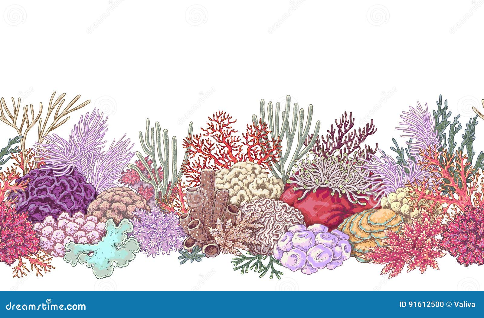 Coral Reef Line Horizontal Pattern Ilustración del Vector - Ilustración ...