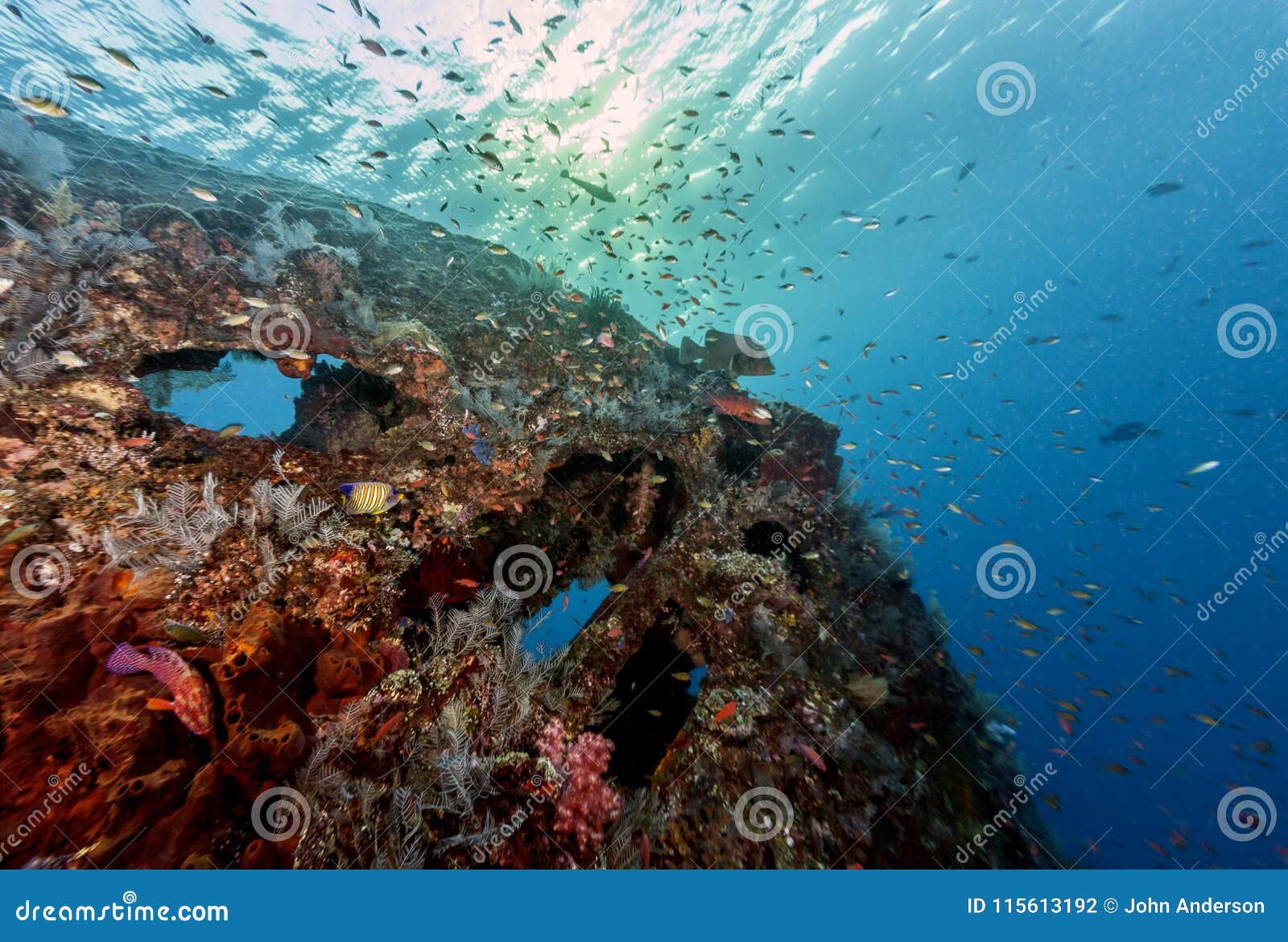 Coral Reef Off Coast of Bali Stock Photo - Image of landscape, fish ...