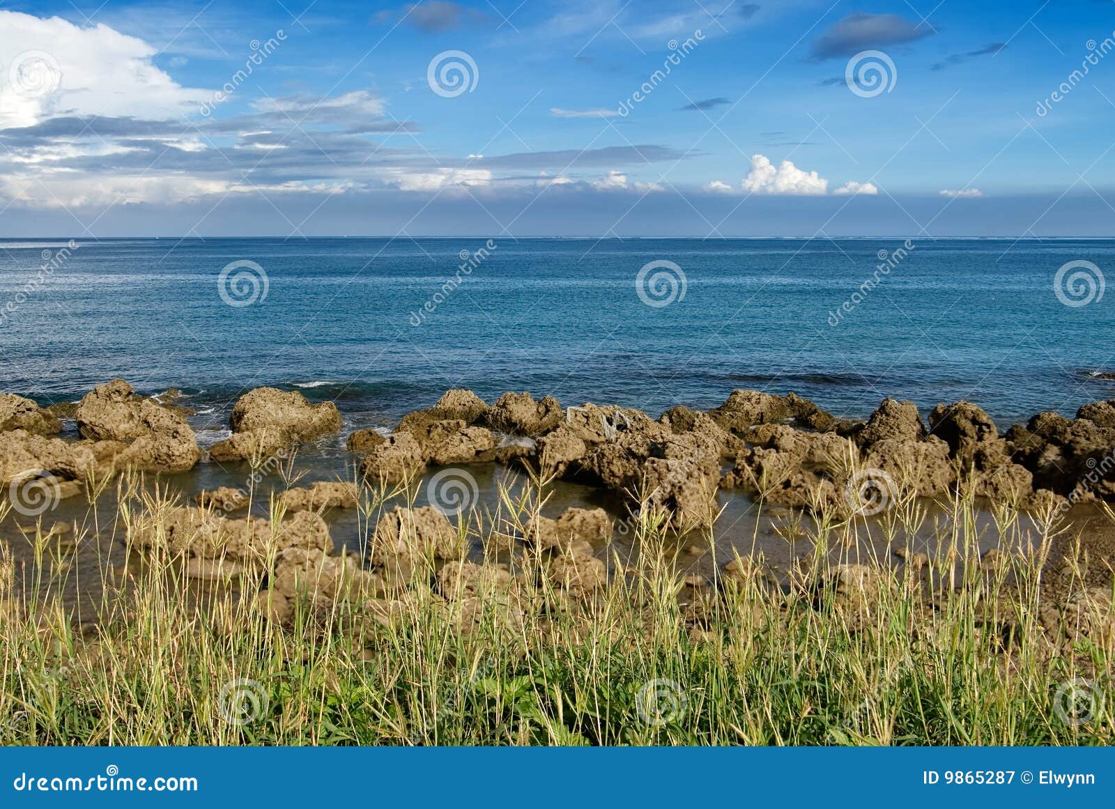 Coral Reef Rock Coastline with Grass Stock Image - Image of kenting ...