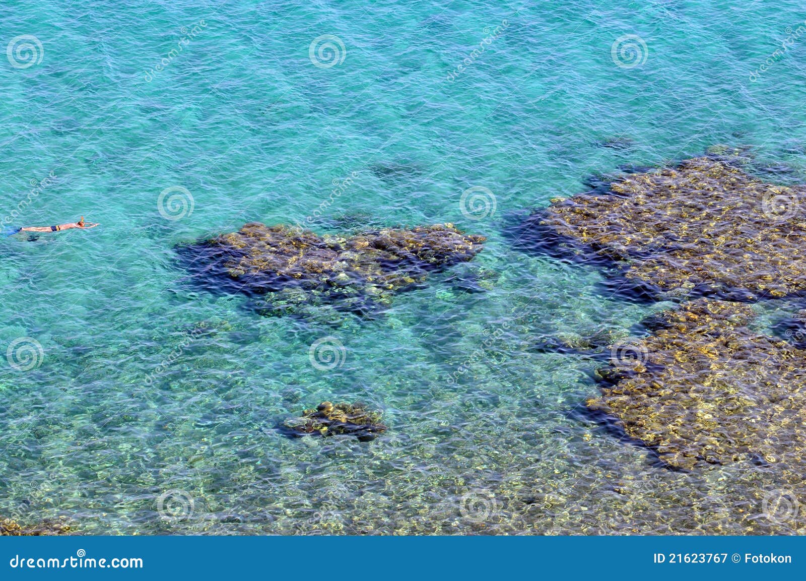 Coral reef in Taba stock image. Image of water, snorkeling - 21623767